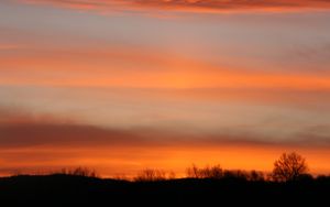 Wallpaper sunset, sky, clouds, field, trees, horizon hd, picture, image