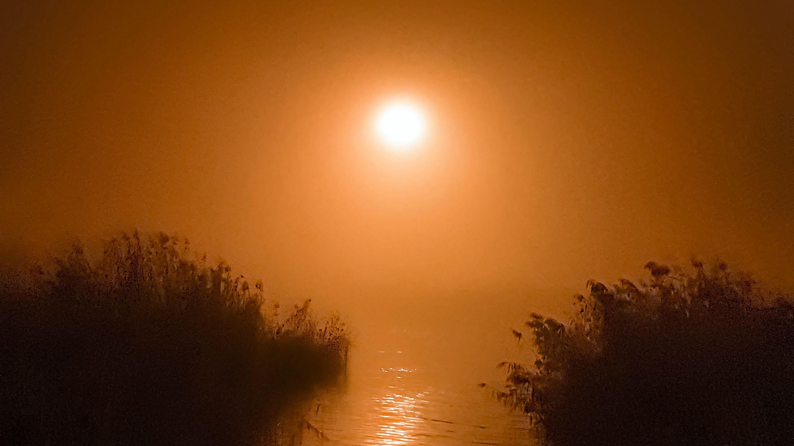 Download wallpaper 2560x1440 sunset, sun, glare, grass, lake widescreen ...