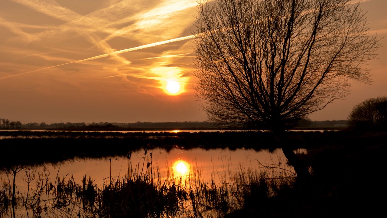 Wallpaper sunset, sun, water, trees hd, picture, image