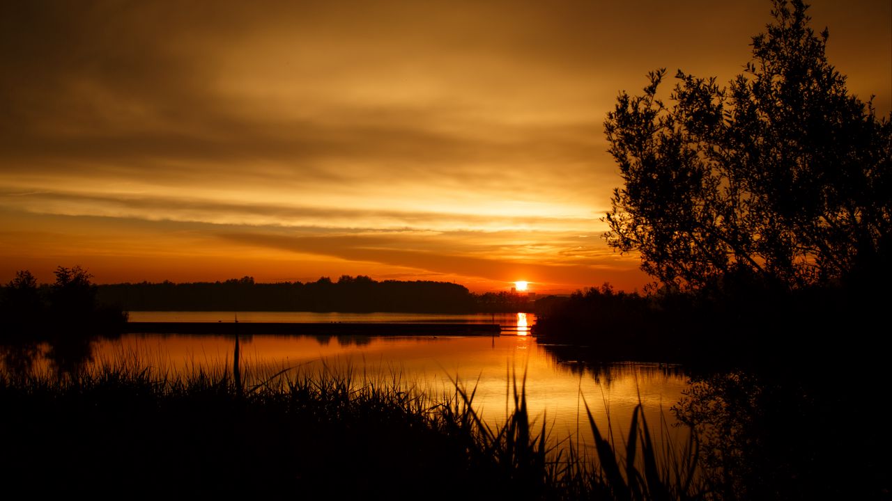 Wallpaper sunset, tree, horizon, grass hd, picture, image