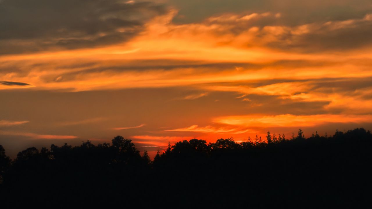 Wallpaper sunset, tree, horizon, silhouette hd, picture, image
