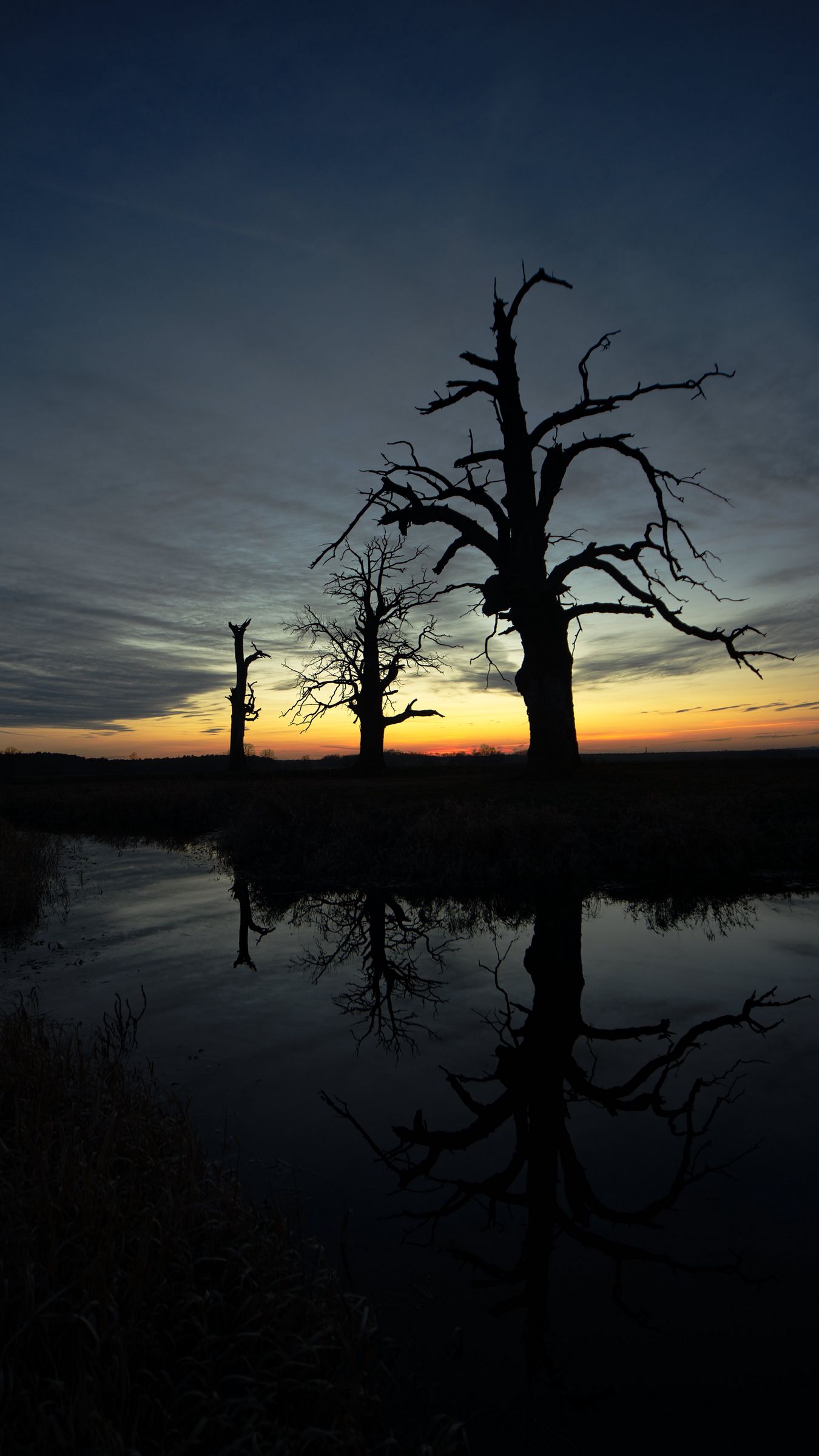 Download wallpaper 1350x2400 sunset, trees, silhouette, reflection ...