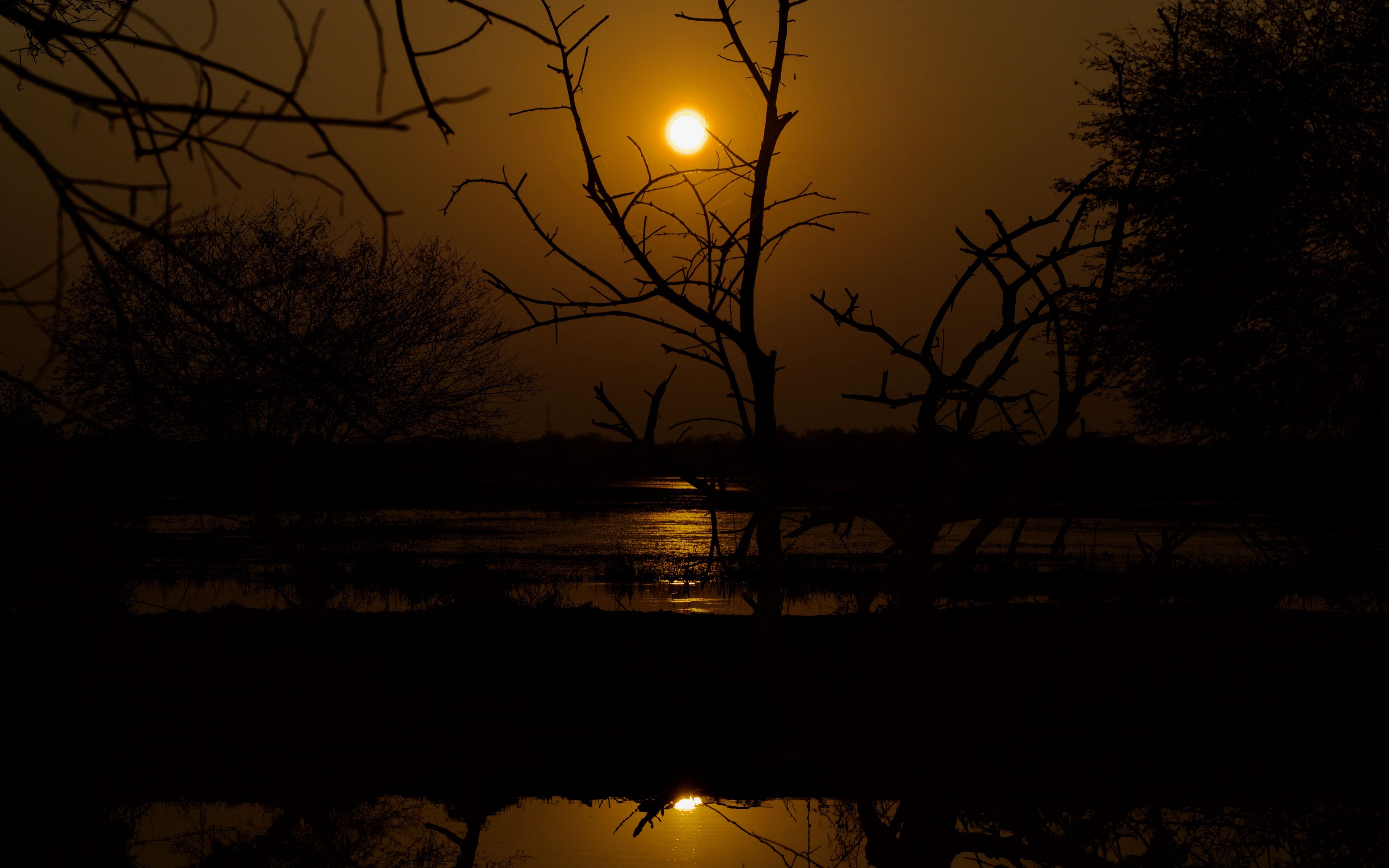 Download wallpaper 3840x2400 sunset, trees, water, dark, dusk 4k ultra ...