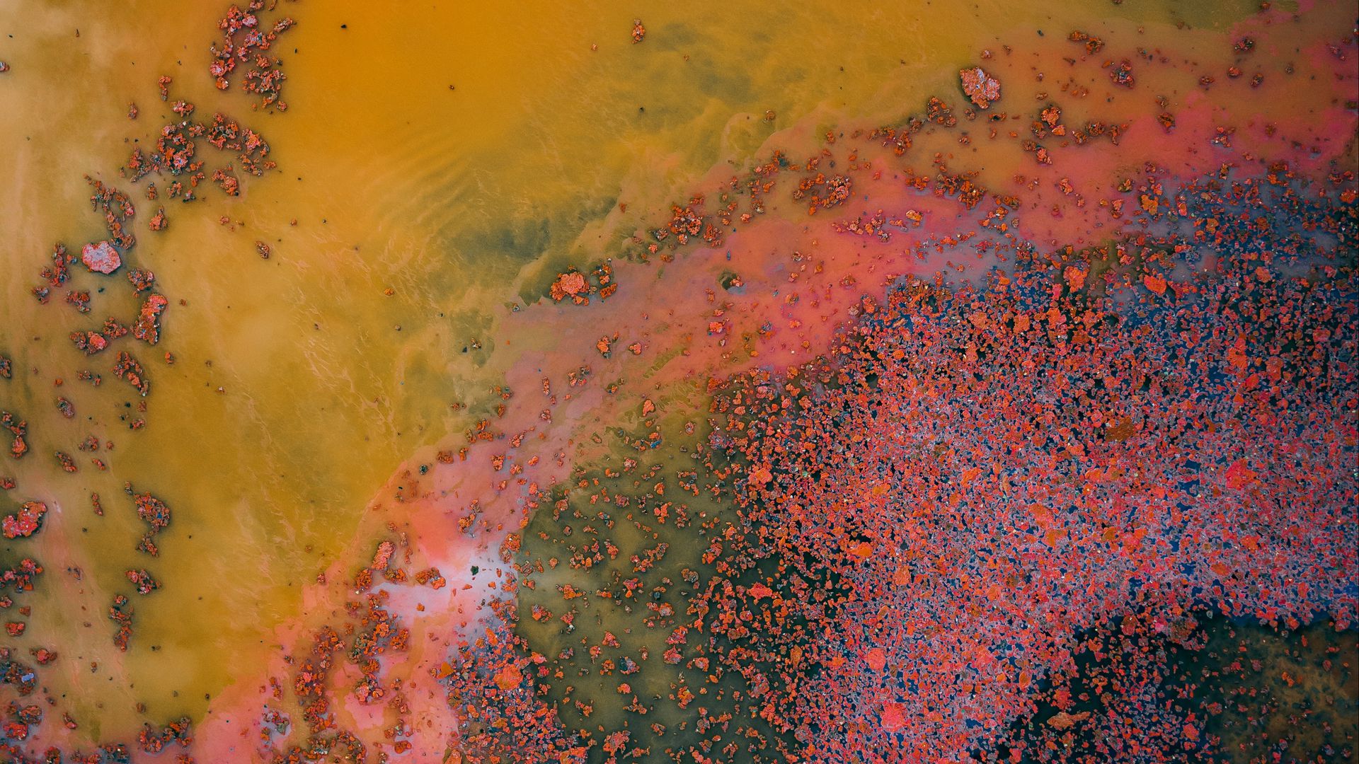 Download wallpaper 1920x1080 surface, crumb, paint, close-up full hd ...