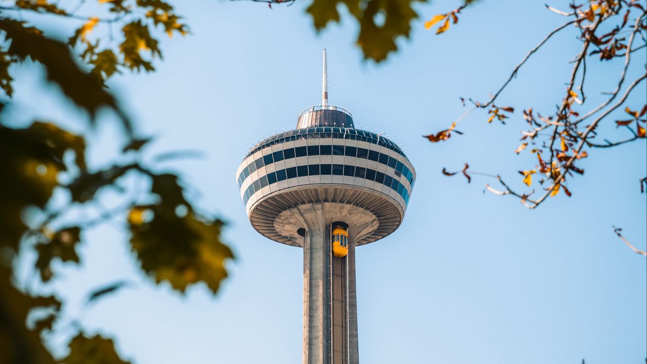 Wallpaper tower, building, architecture, branches, trees hd, picture, image