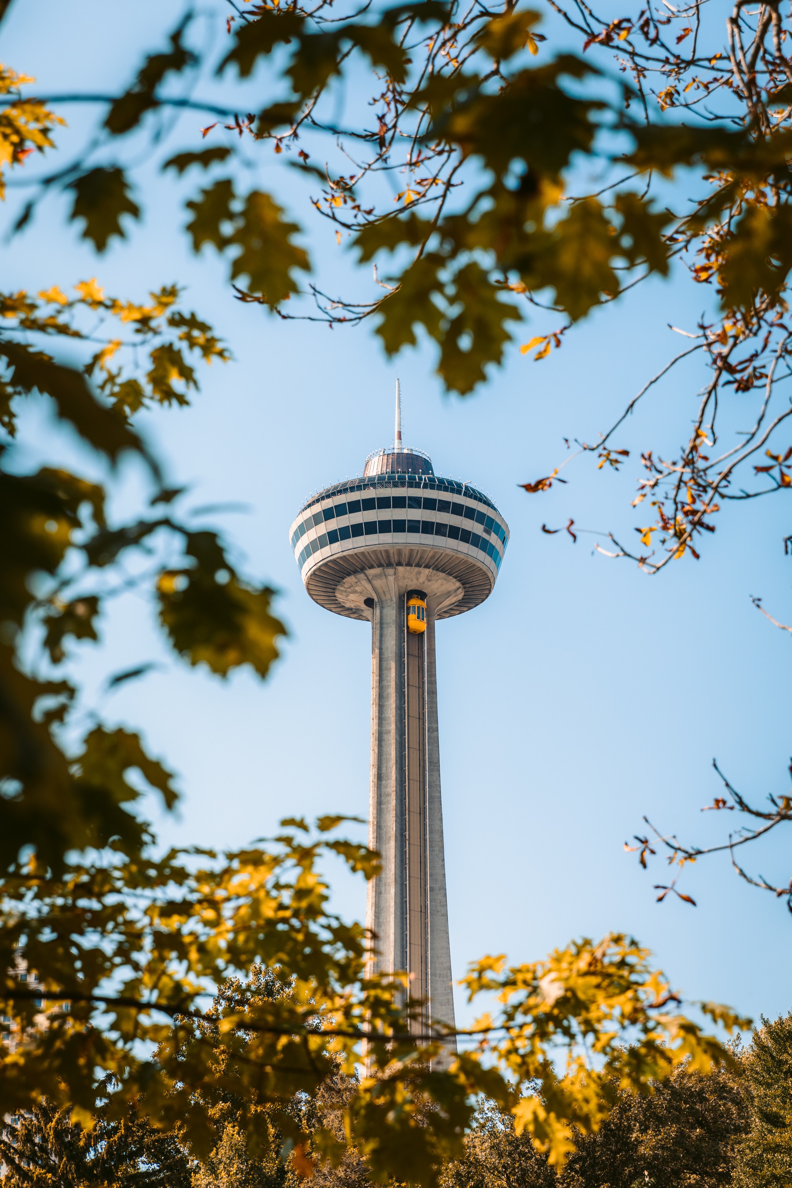 Download wallpaper 2667x4000 tower, building, architecture, branches ...