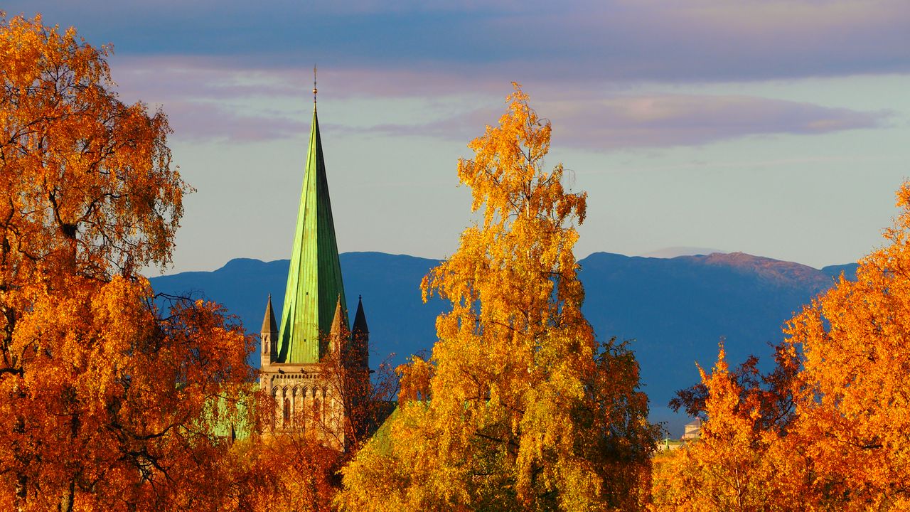 Wallpaper tower, building, autumn, trees hd, picture, image