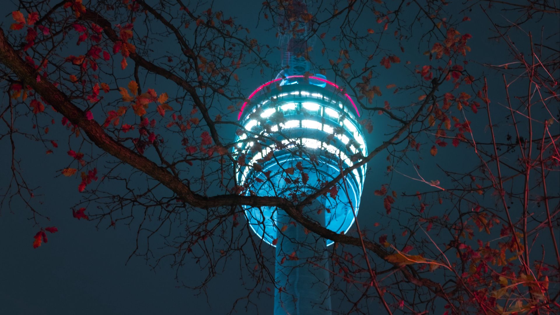 Download wallpaper 1920x1080 tower, building, light, branches, night ...