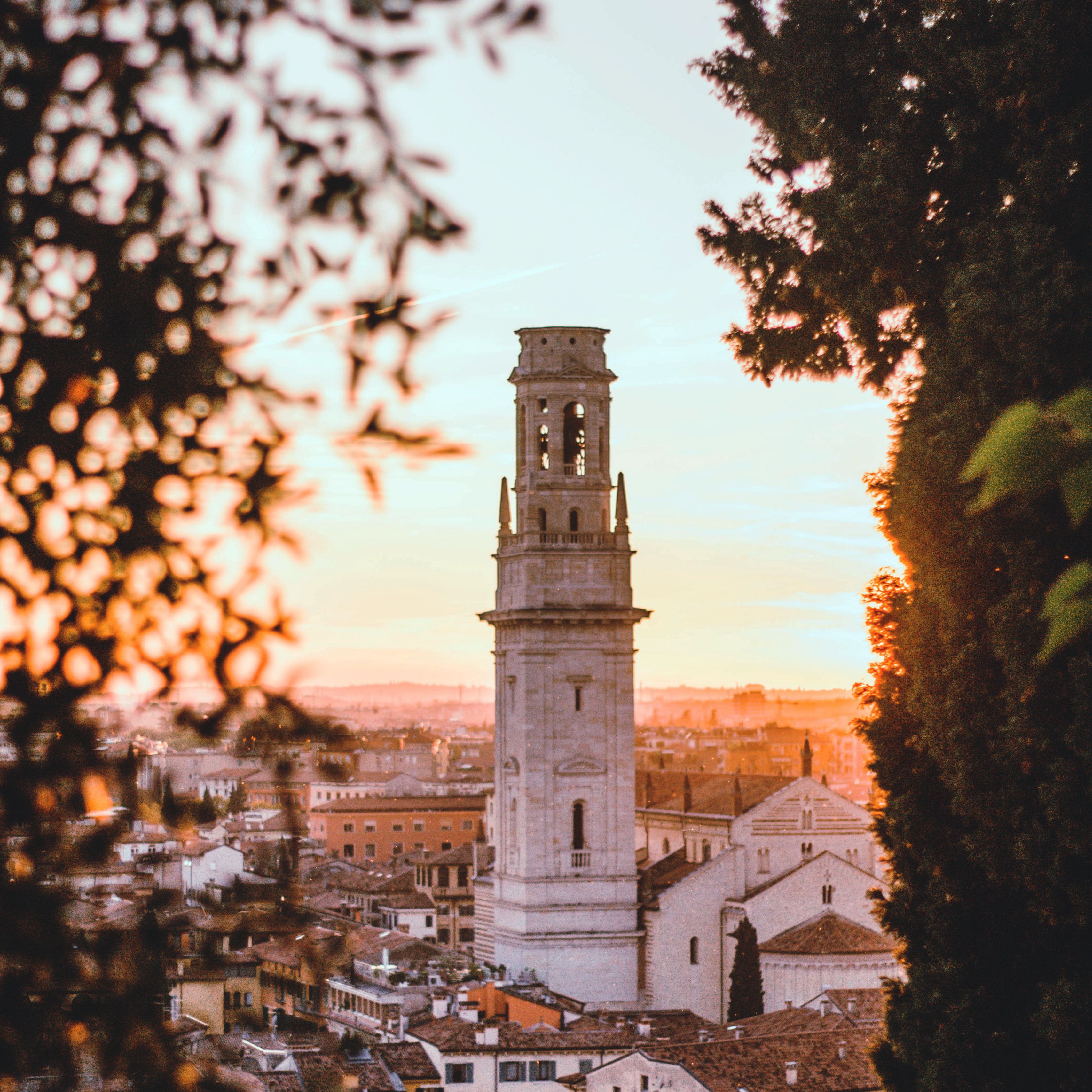 Download wallpaper 3415x3415 tower, city, architecture, branches ...