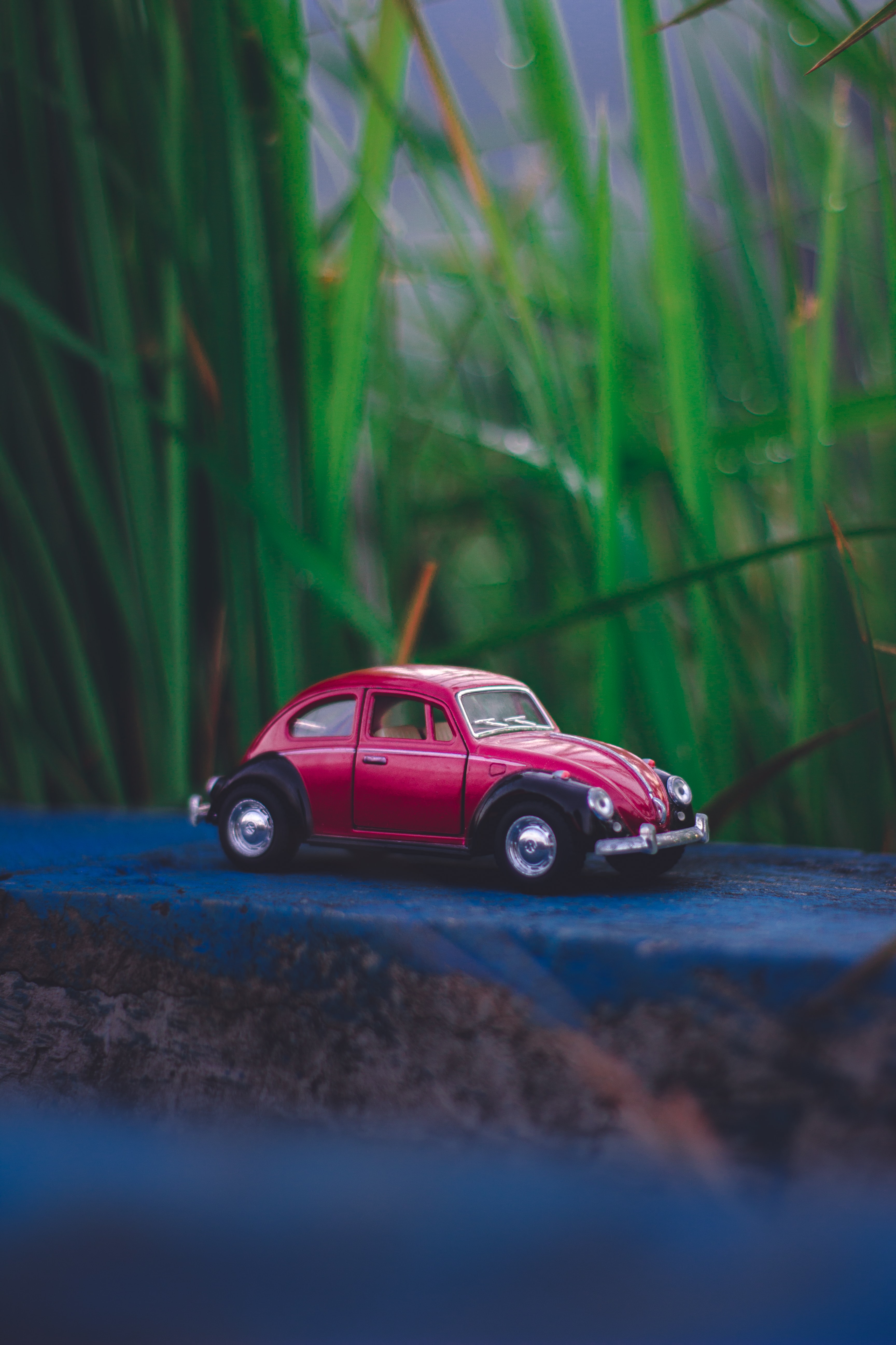 Download wallpaper 3456x5184 toy, car, border, grass hd background