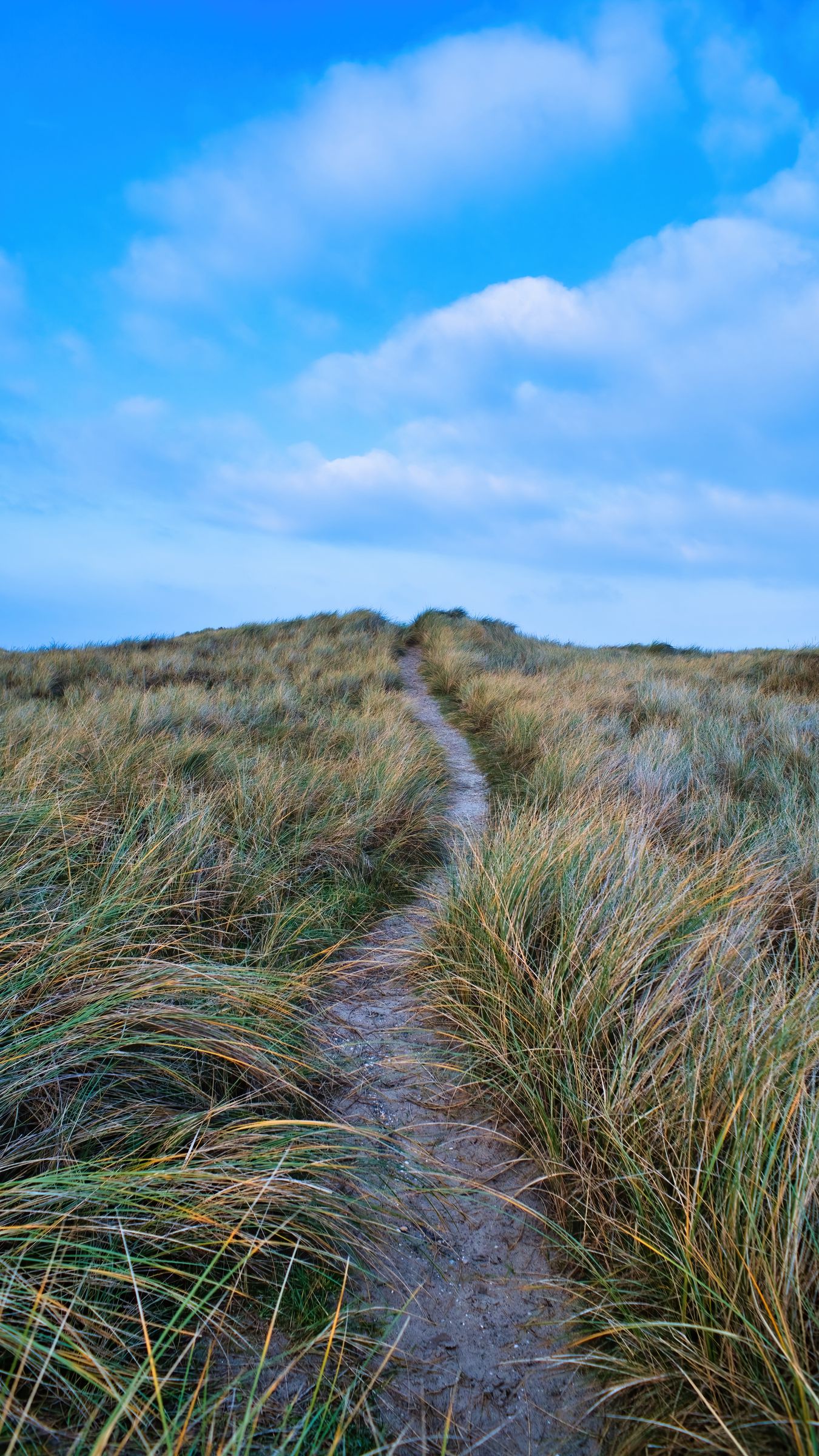 Download wallpaper 1350x2400 trail, grass, clouds, sky iphone 8+/7+/6s ...