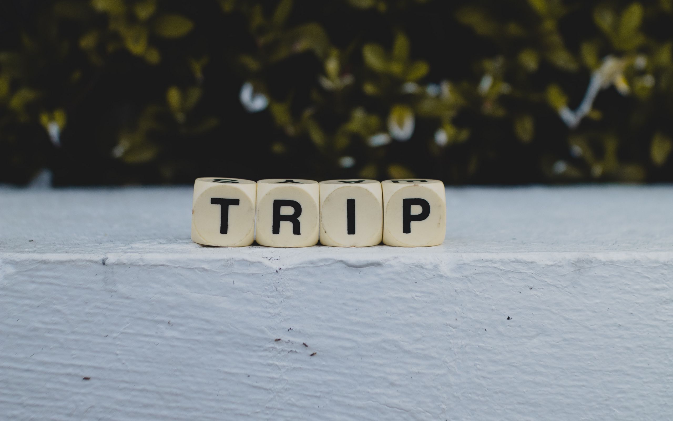 Download wallpaper 2560x1600 trip, cubes, word, beach widescreen 16:10 ...