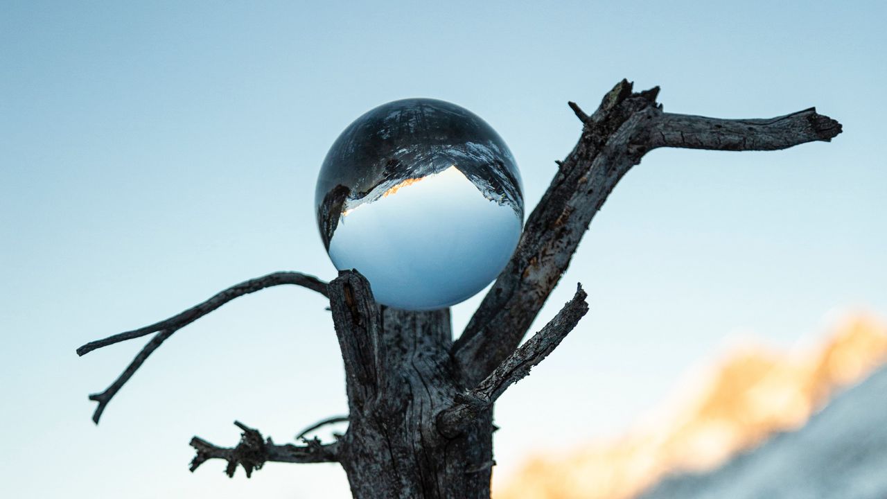 Wallpaper tree, ball, glass, reflection hd, picture, image