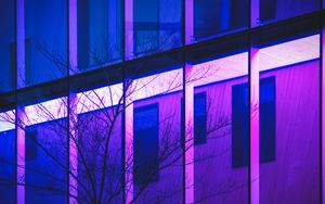 Wallpaper tree, house, building, facade hd, picture, image