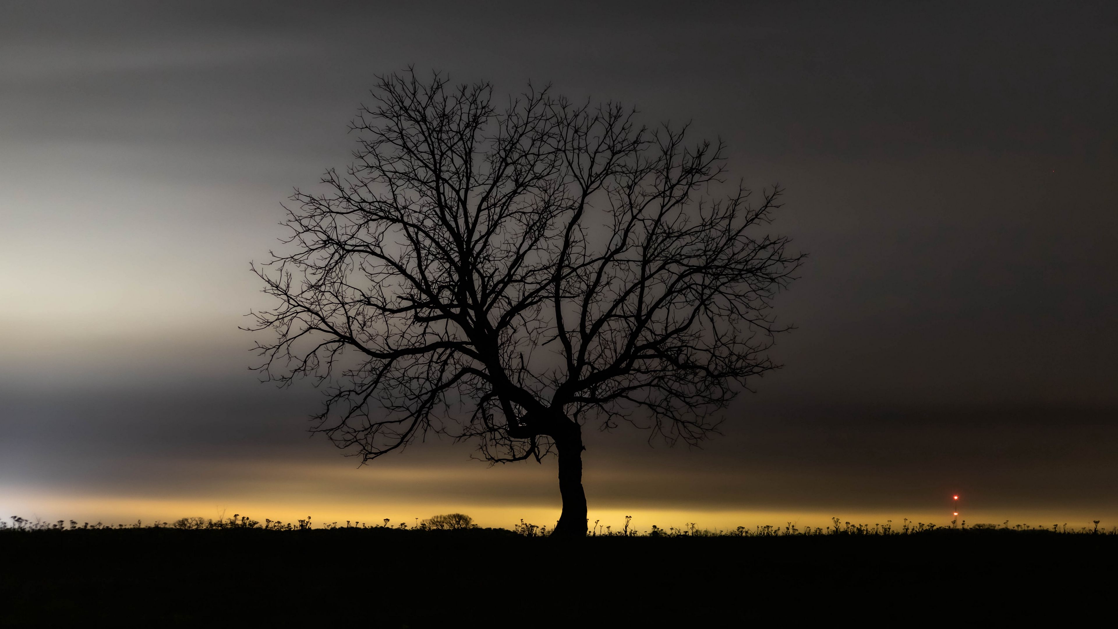 Download wallpaper 3840x2160 tree, branches, silhouette, clouds ...