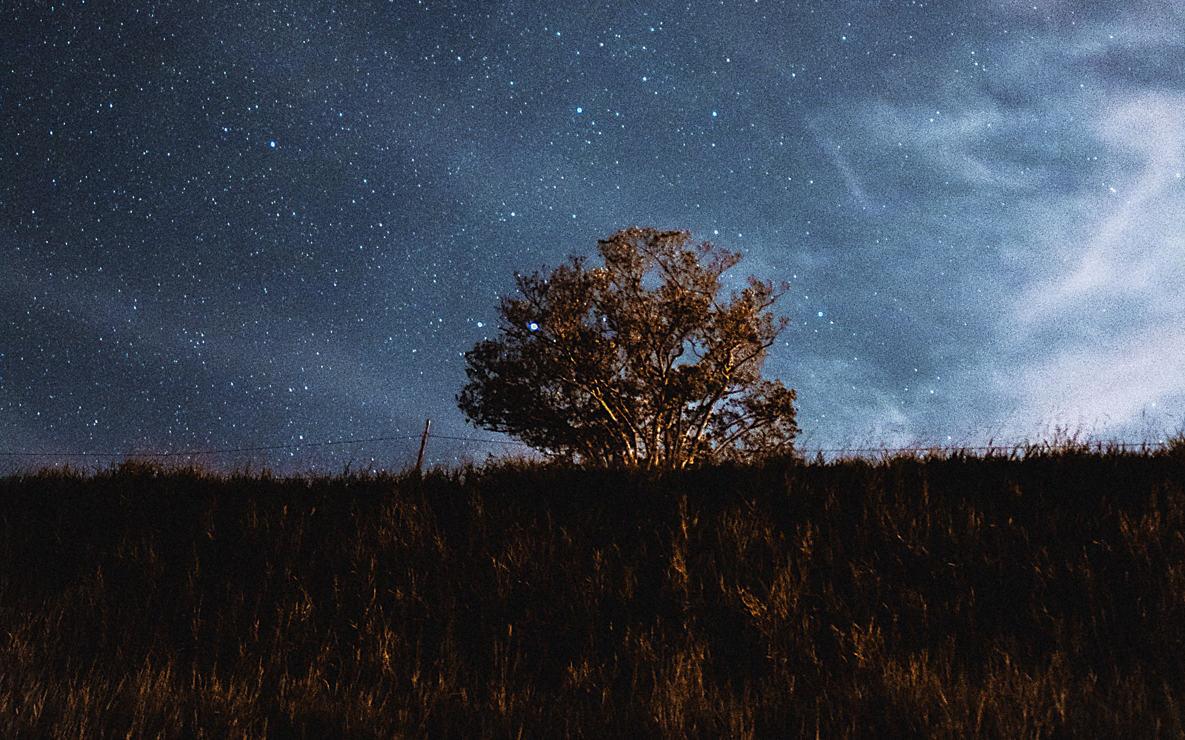 Download wallpaper 3840x2400 tree, field, stars, night, sky, landscape ...
