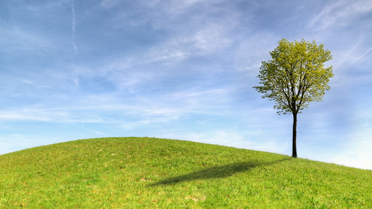 Download wallpaper 1280x720 tree, horizon, sky, grass hd, hdv, 720p hd ...