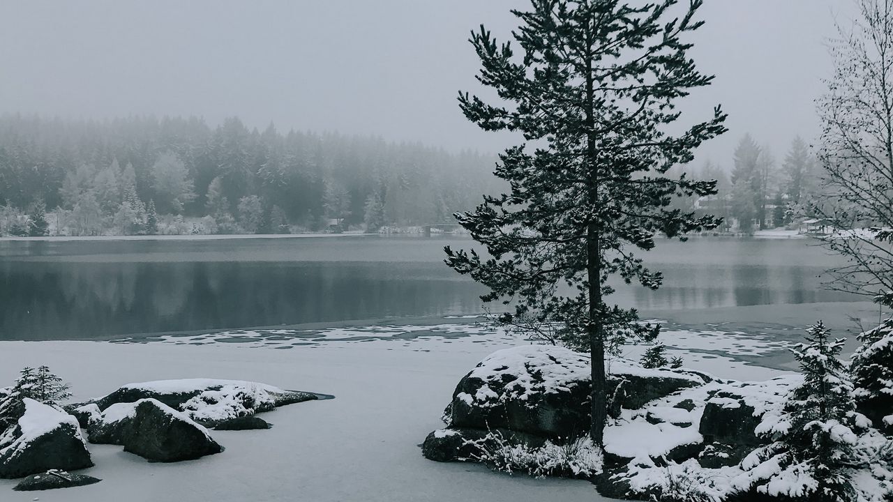 Wallpaper tree, lake, snow, winter, landscape hd, picture, image