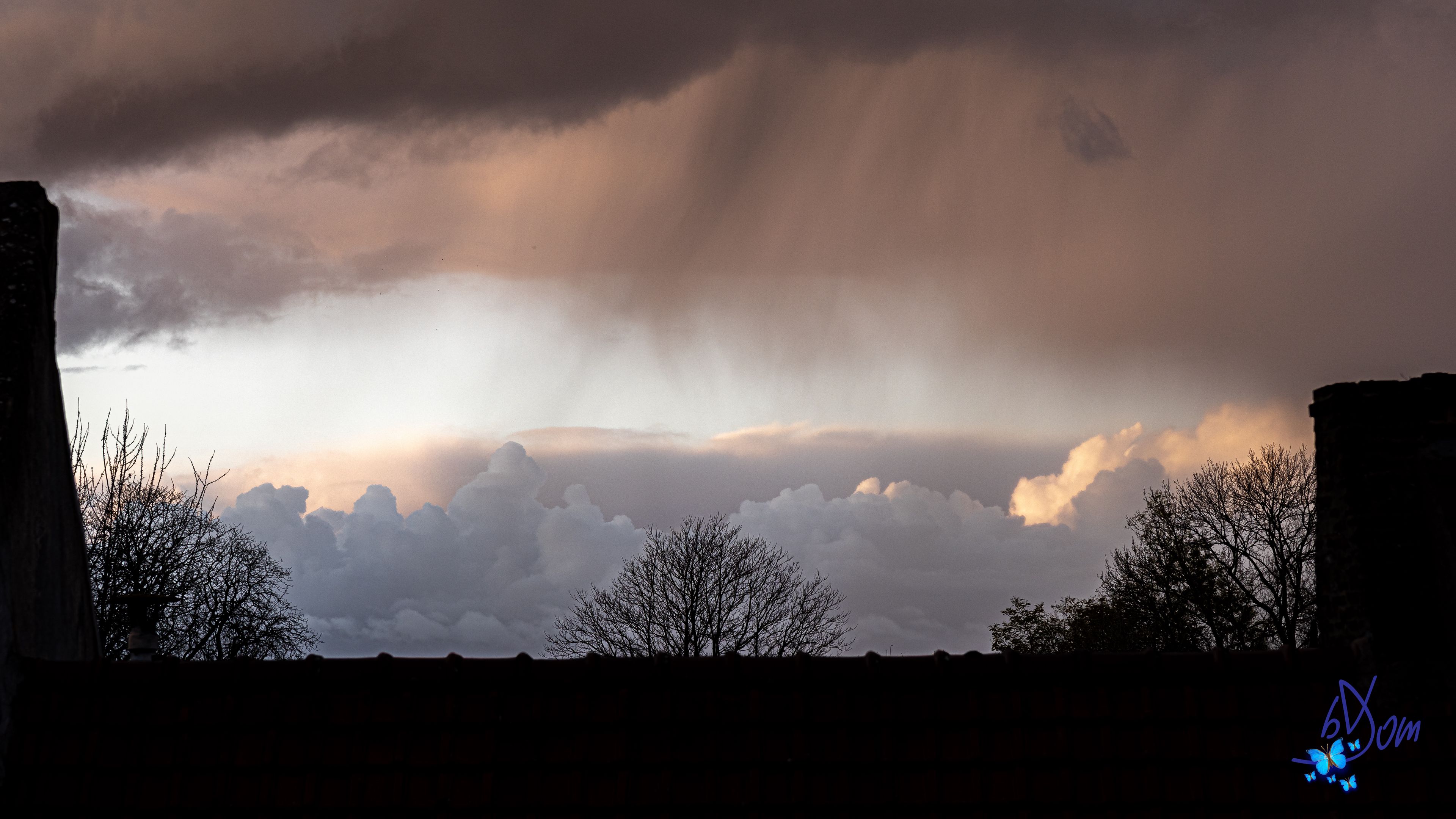 Download wallpaper 3840x2160 tree, silhouette, clouds, twilight, dark ...