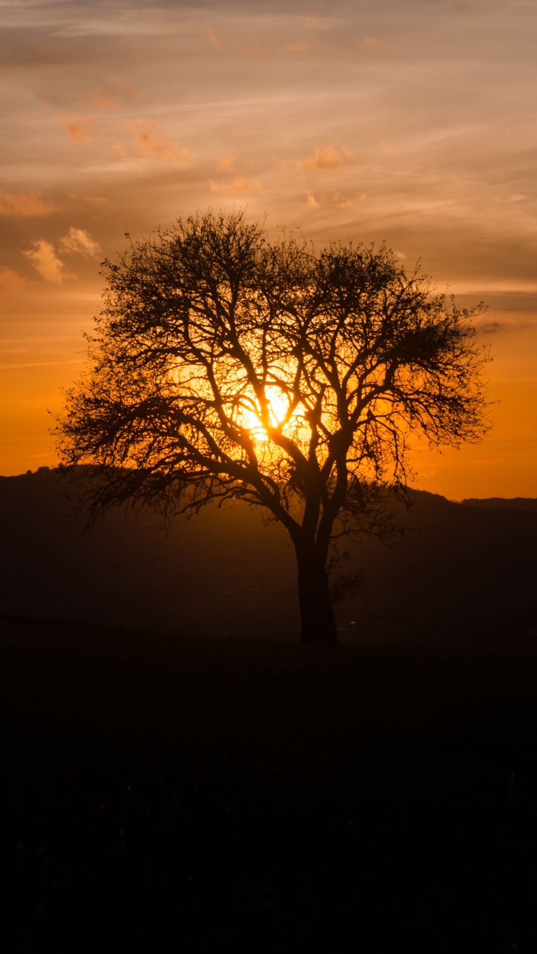 Download wallpaper 1080x1920 tree, silhouette, hills, dark samsung ...
