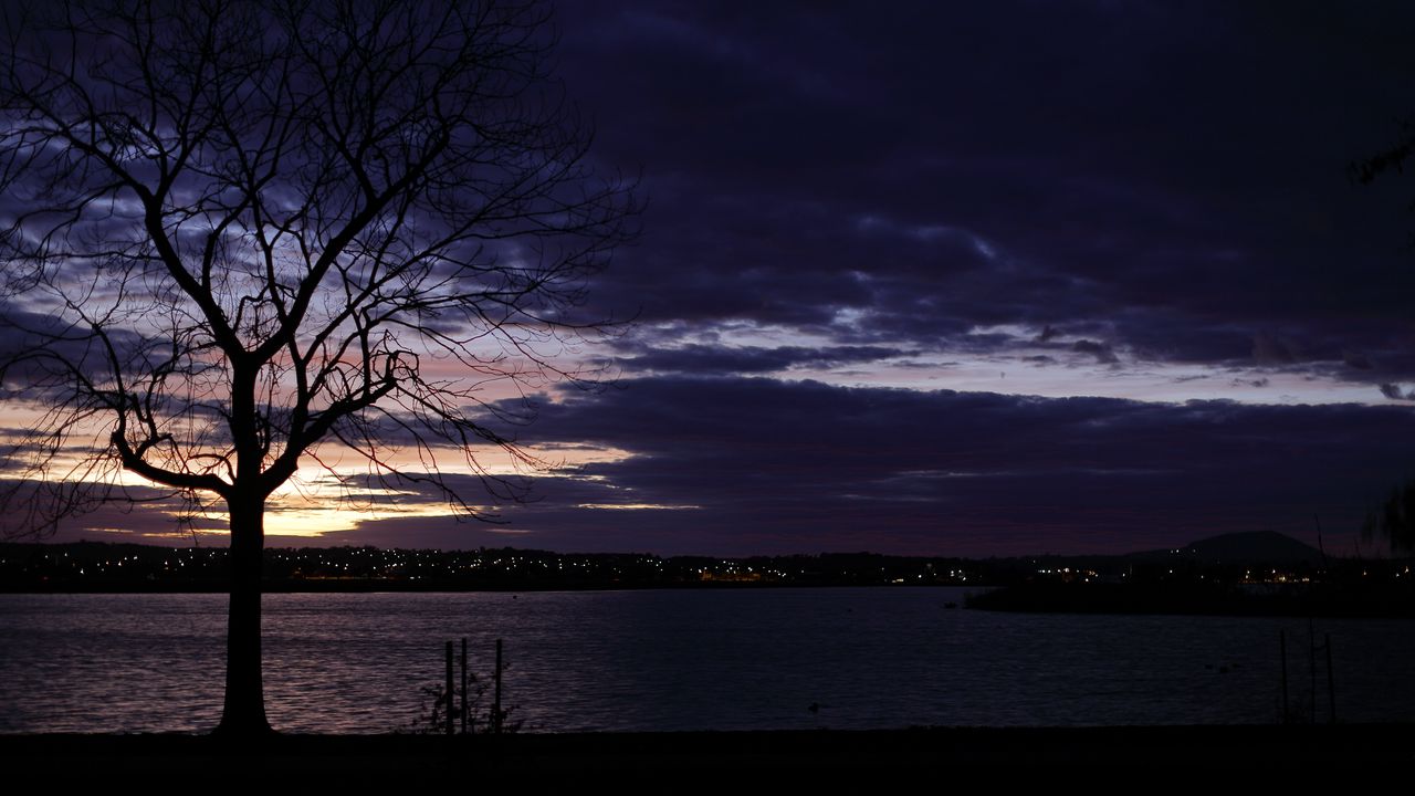 Wallpaper tree, silhouette, water, lights, sunset hd, picture, image