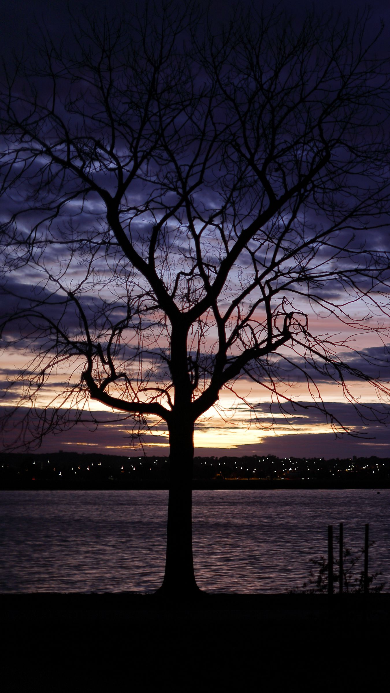 Download wallpaper 1350x2400 tree, silhouette, water, lights, sunset ...