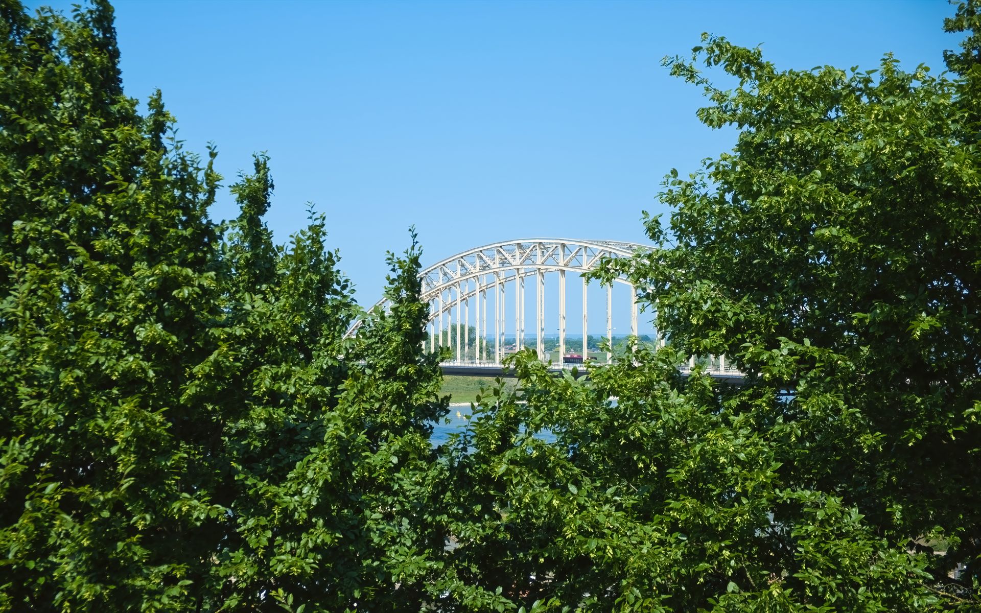 Download wallpaper 1920x1200 trees, bridge, river, sky widescreen 16:10 ...