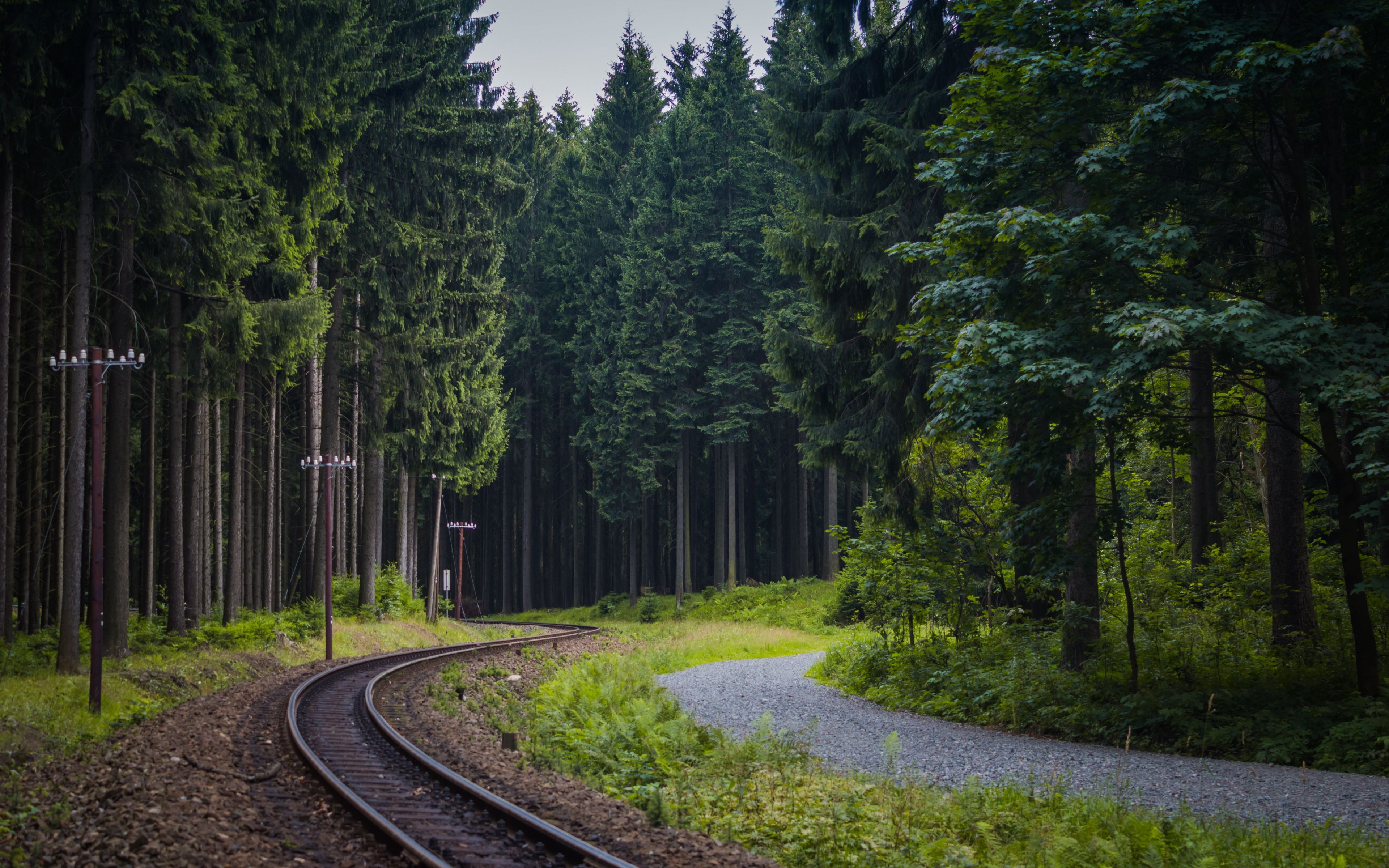 Download wallpaper 3840x2400 trees, forest, railway 4k ultra hd 16:10 ...