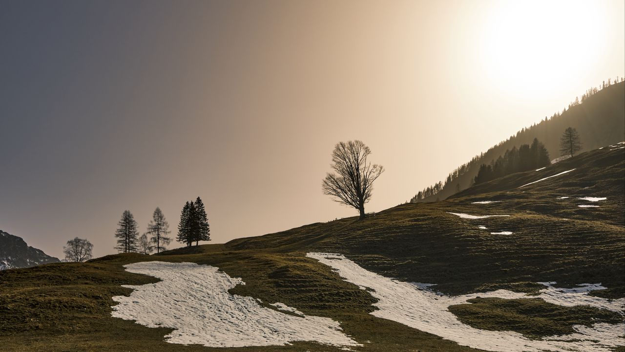 Wallpaper trees, hills, snow, nature, landscape hd, picture, image