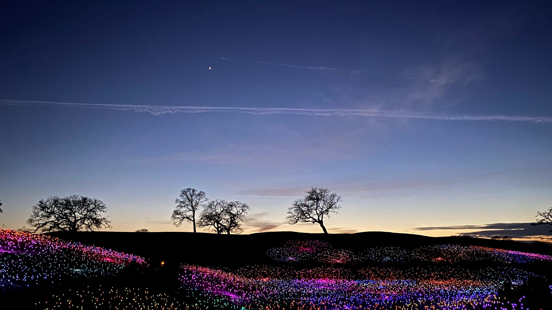Download wallpaper 1920x1080 trees, horizon, field, glow, night full hd ...