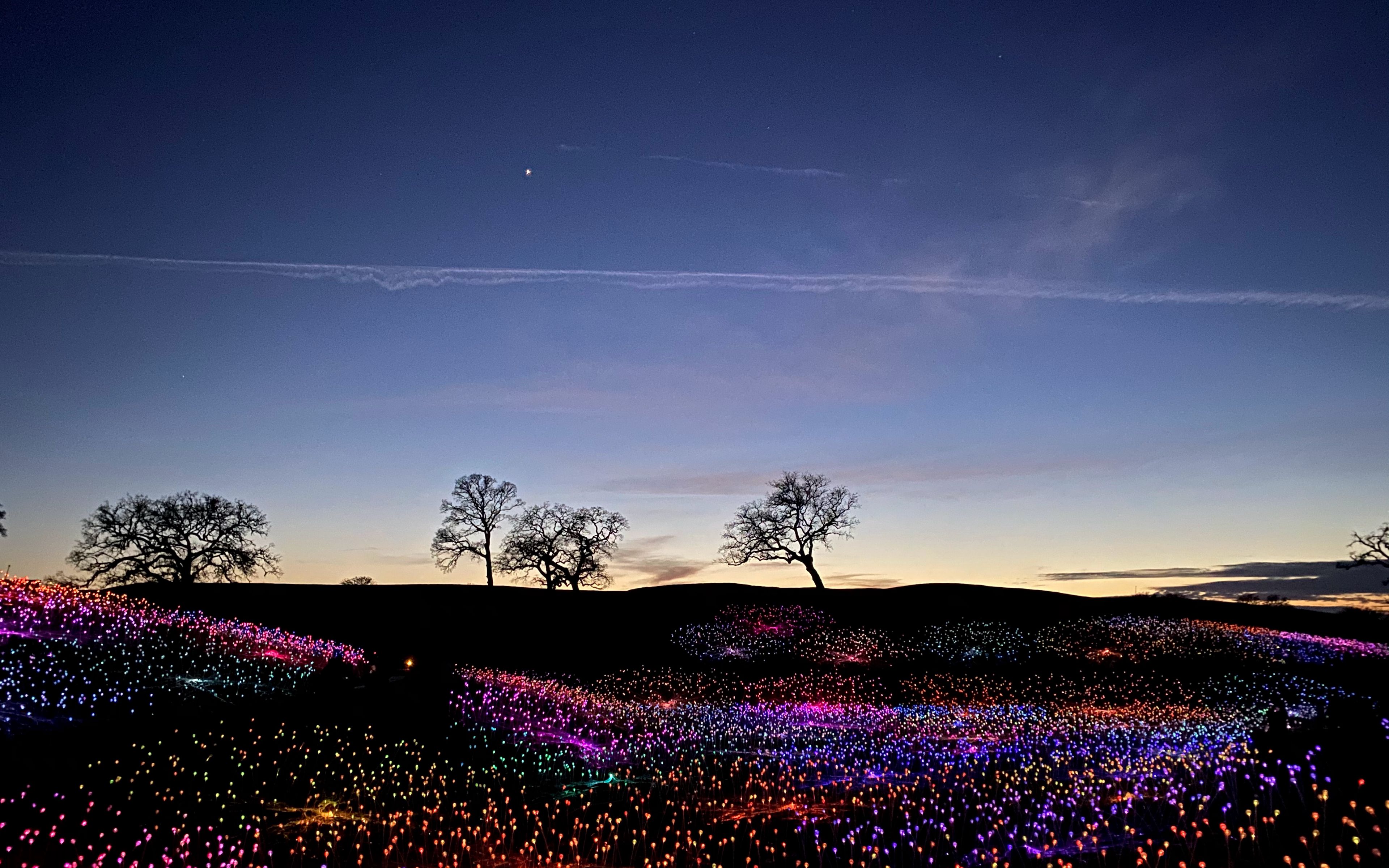 Download wallpaper 3840x2400 trees, horizon, field, glow, night 4k ...