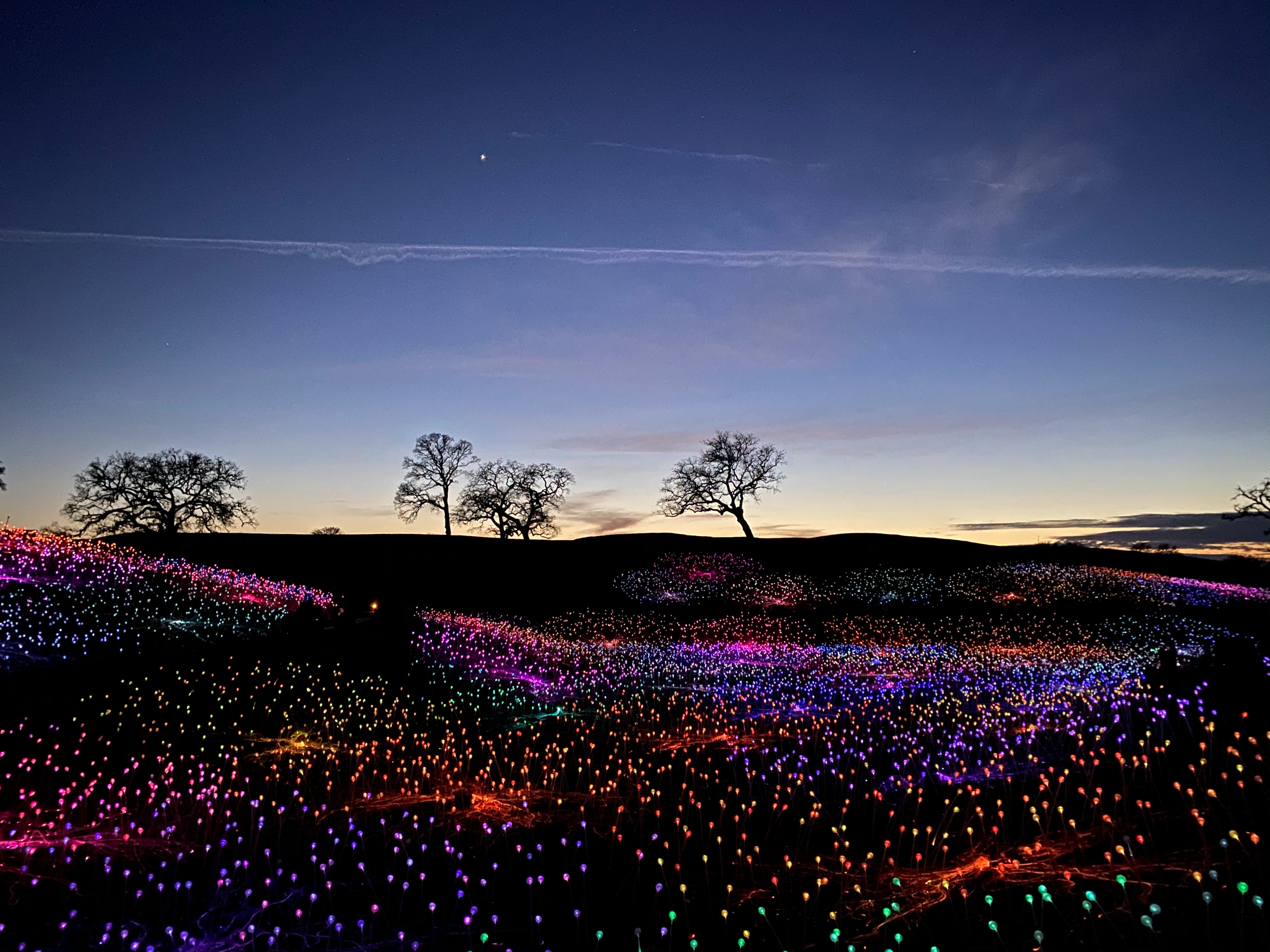 Download wallpaper 4032x3024 trees, horizon, field, glow, night hd ...