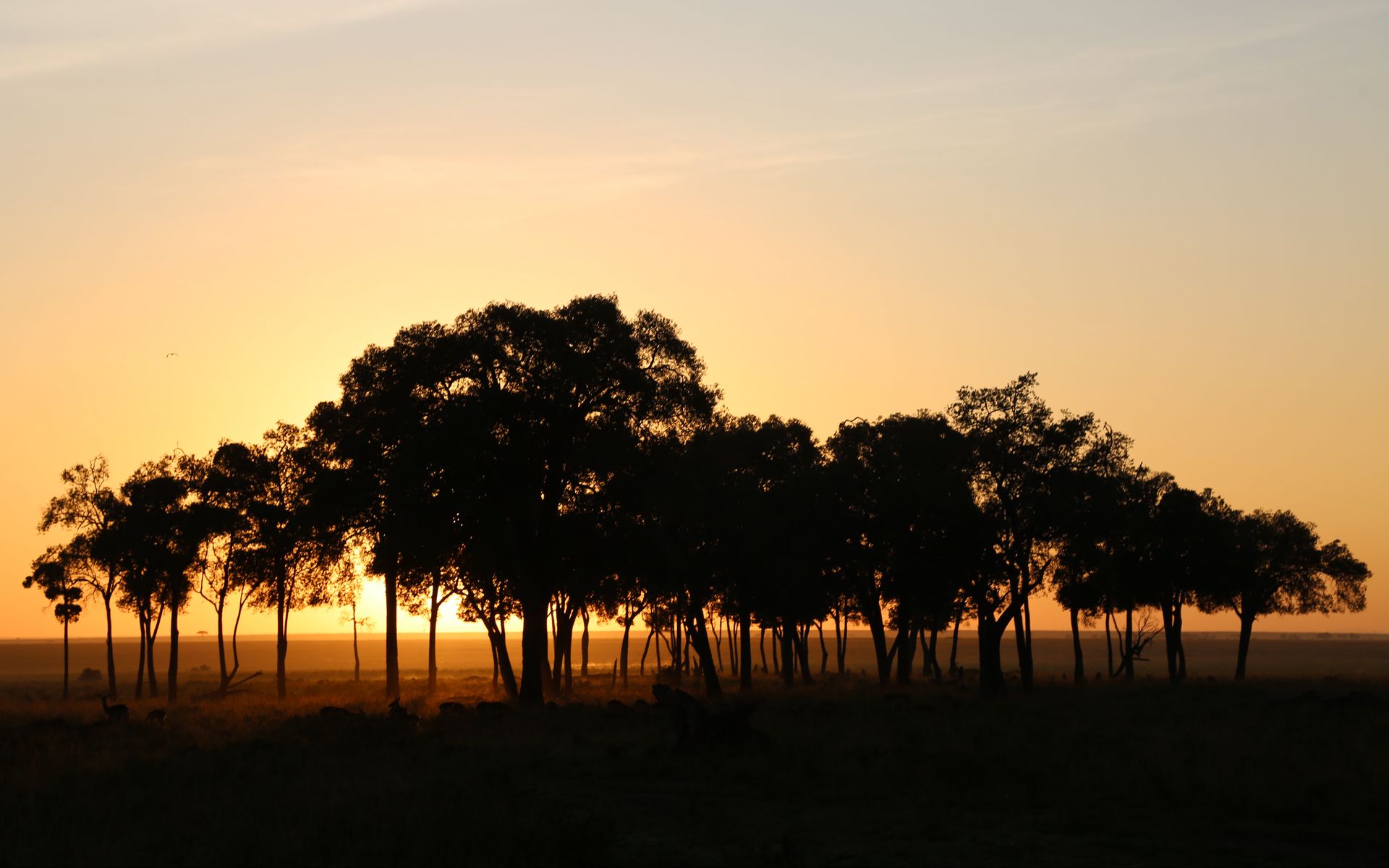 Download wallpaper 1920x1200 trees, horizon, twilight, dark widescreen ...