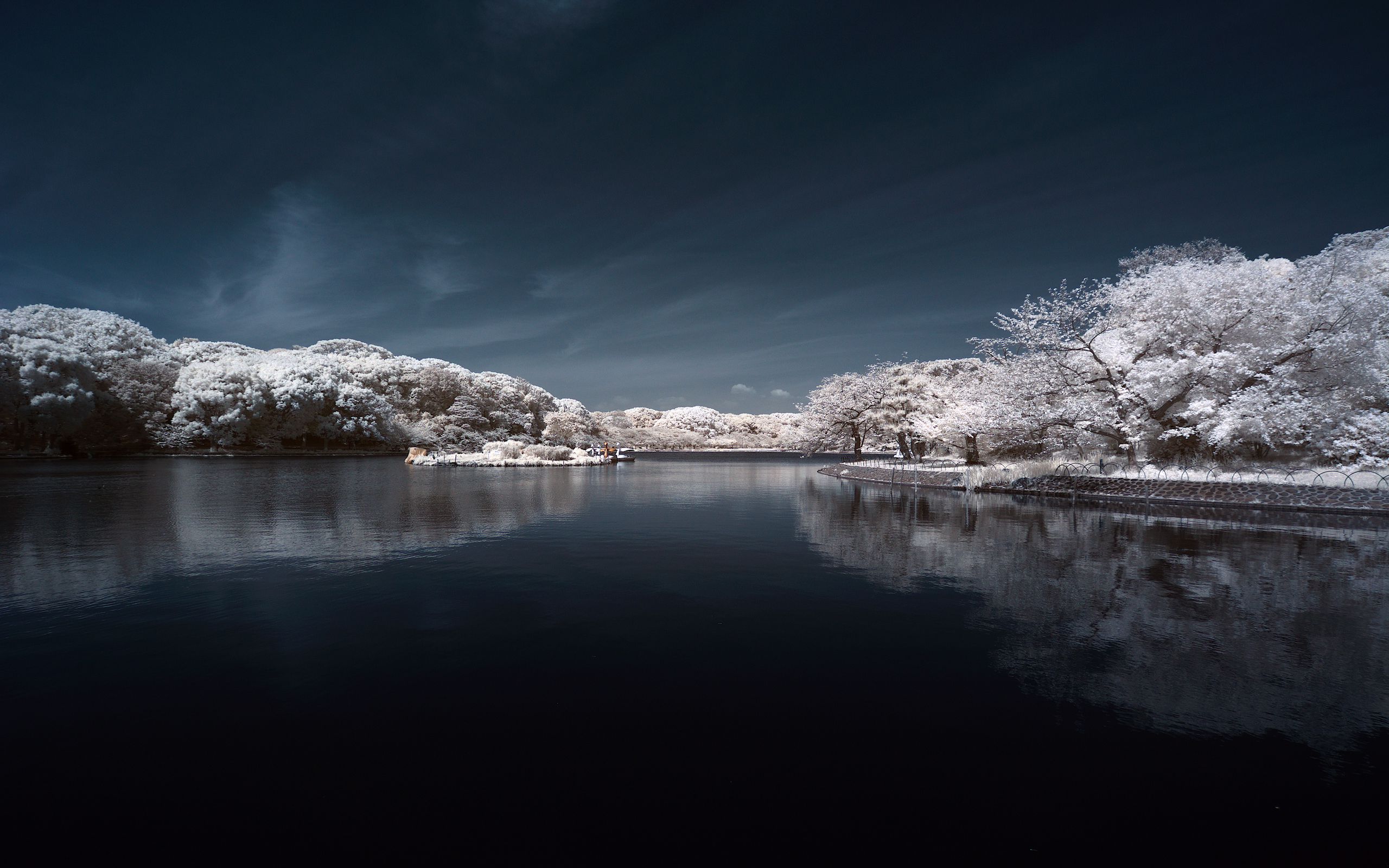 Download wallpaper 2560x1600 trees in snow, water, sky, landscape ...