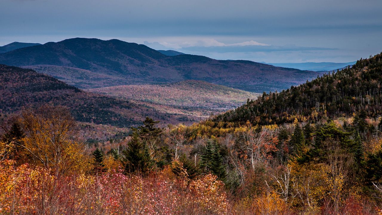 Wallpaper trees, mountains, forest, autumn hd, picture, image