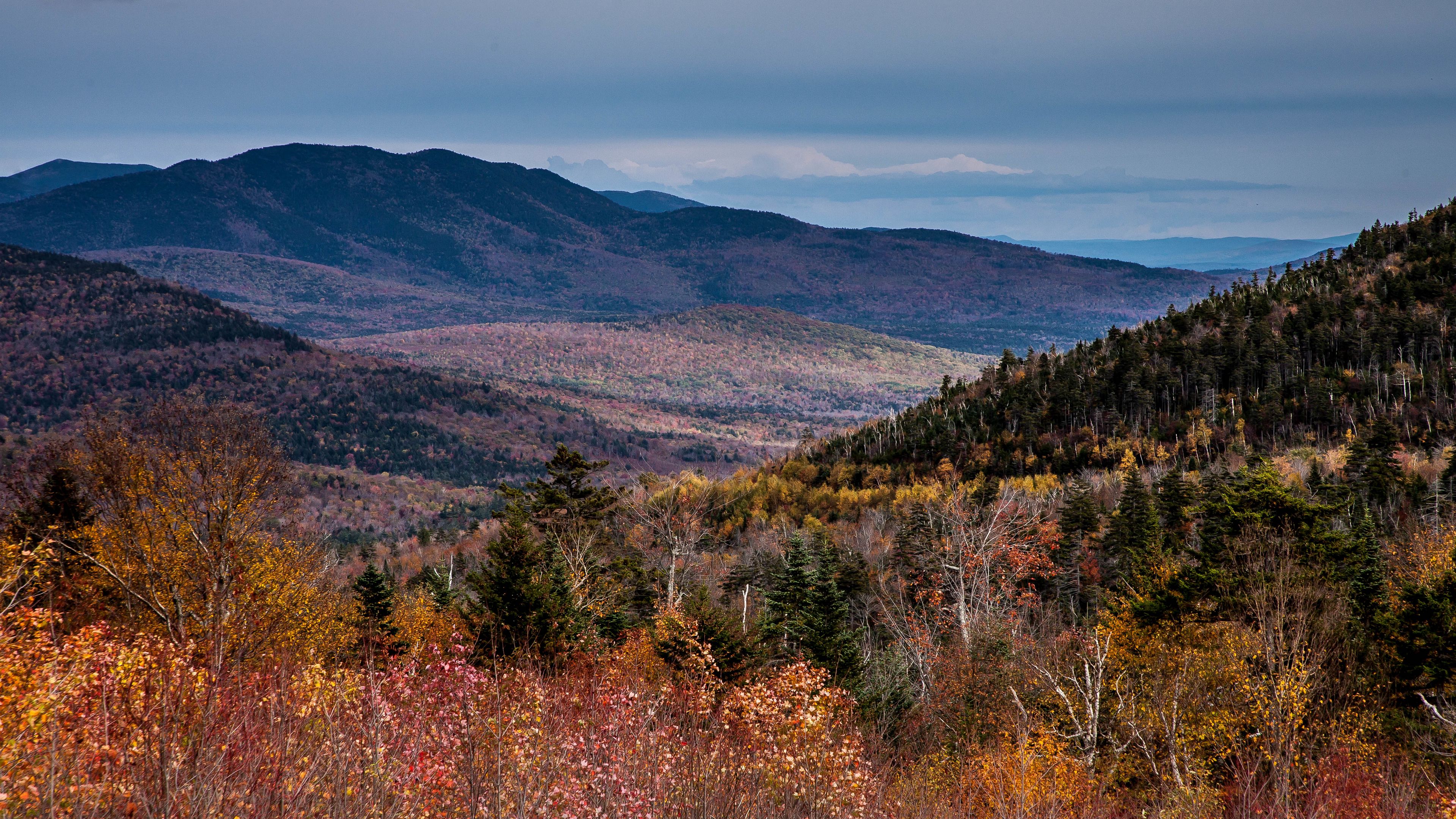 Download wallpaper 3840x2160 trees, mountains, forest, autumn 4k uhd 16 ...