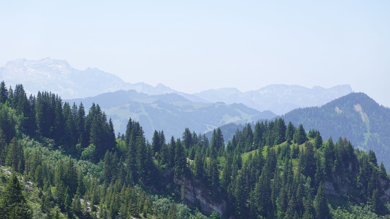 Wallpaper trees, mountains, landscape hd, picture, image