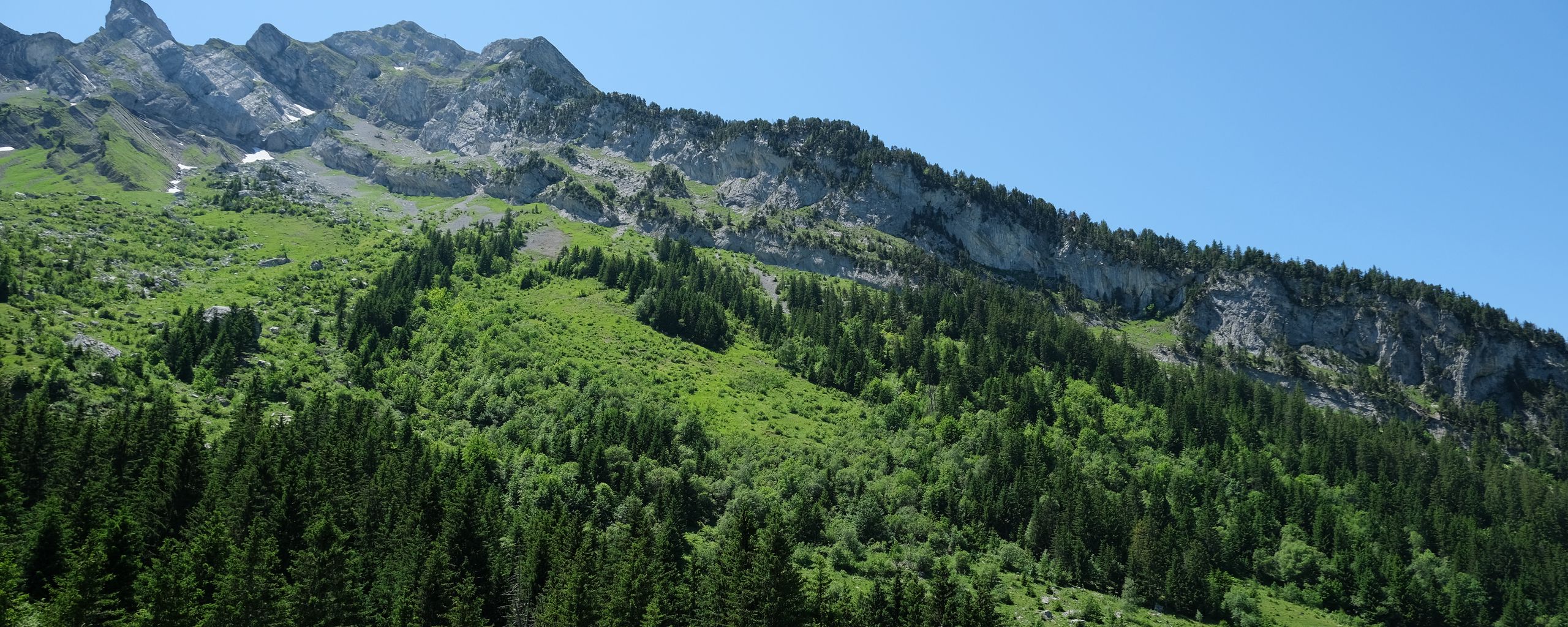 Download wallpaper 2560x1024 trees, mountains, slope, grass ultrawide ... Download wallpaper 2560x1024 trees, mountains, slope, grass ultrawide ...