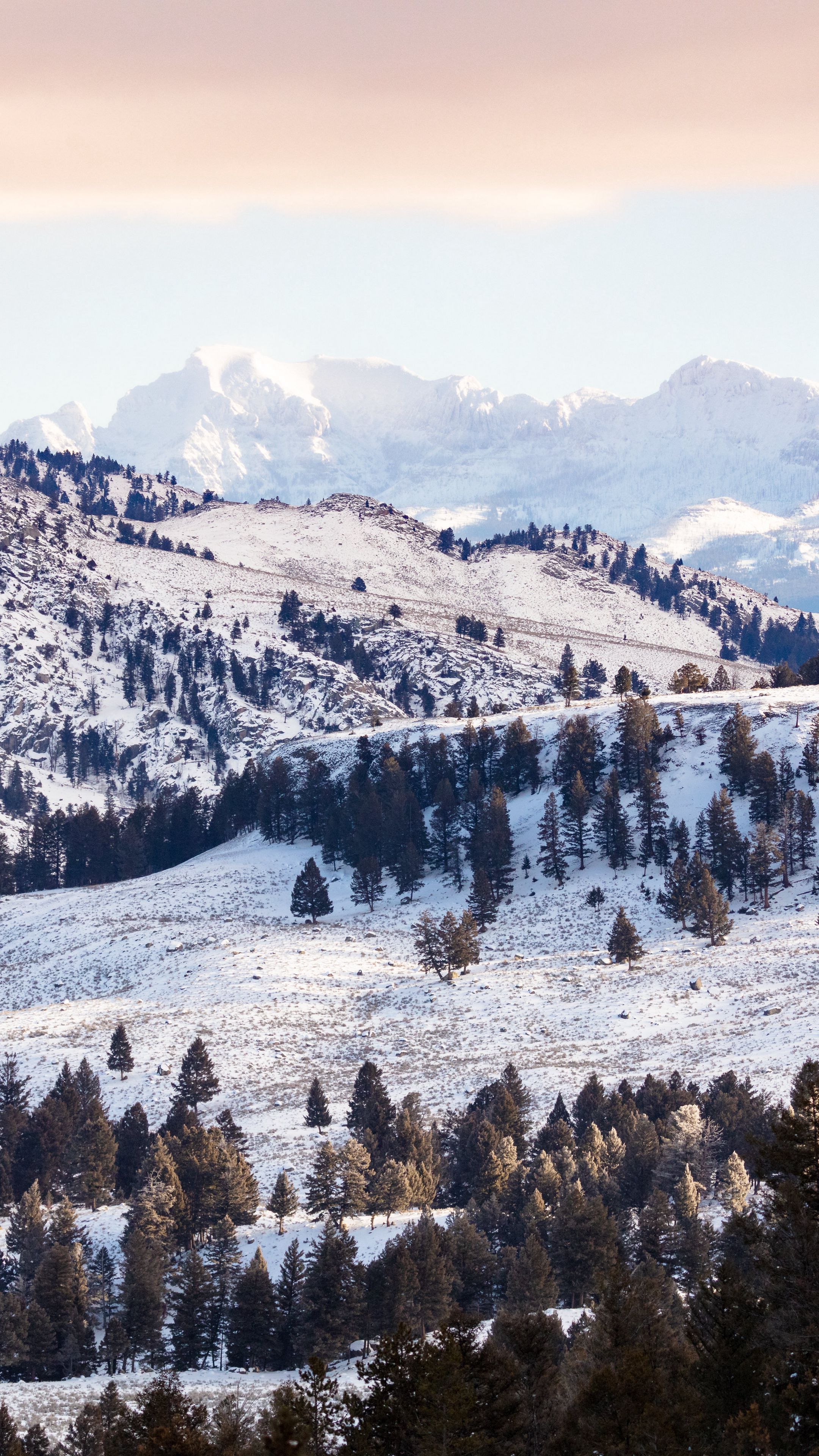 Download wallpaper 2160x3840 trees, mountains, snow, winter, nature ...
