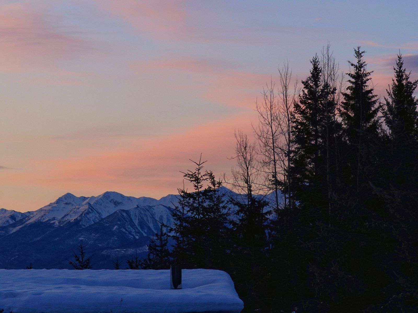 Download wallpaper 1600x1200 trees, mountains, snow, sky, moon standard ...