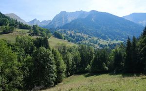 Wallpaper trees, valley, rock, mountain, landscape hd, picture, image