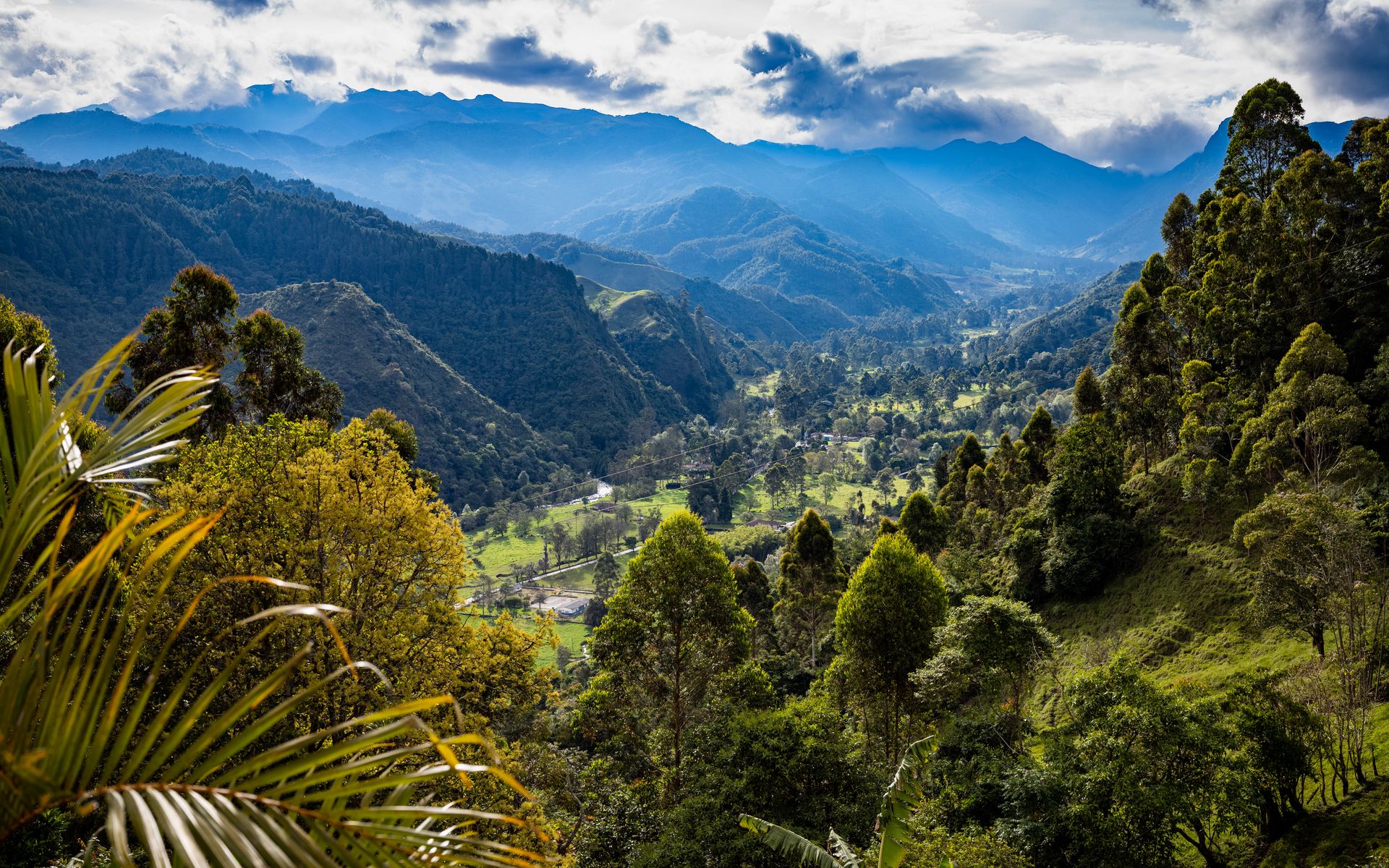 Download wallpaper 1920x1200 trees, mountains, valley, landscape ...