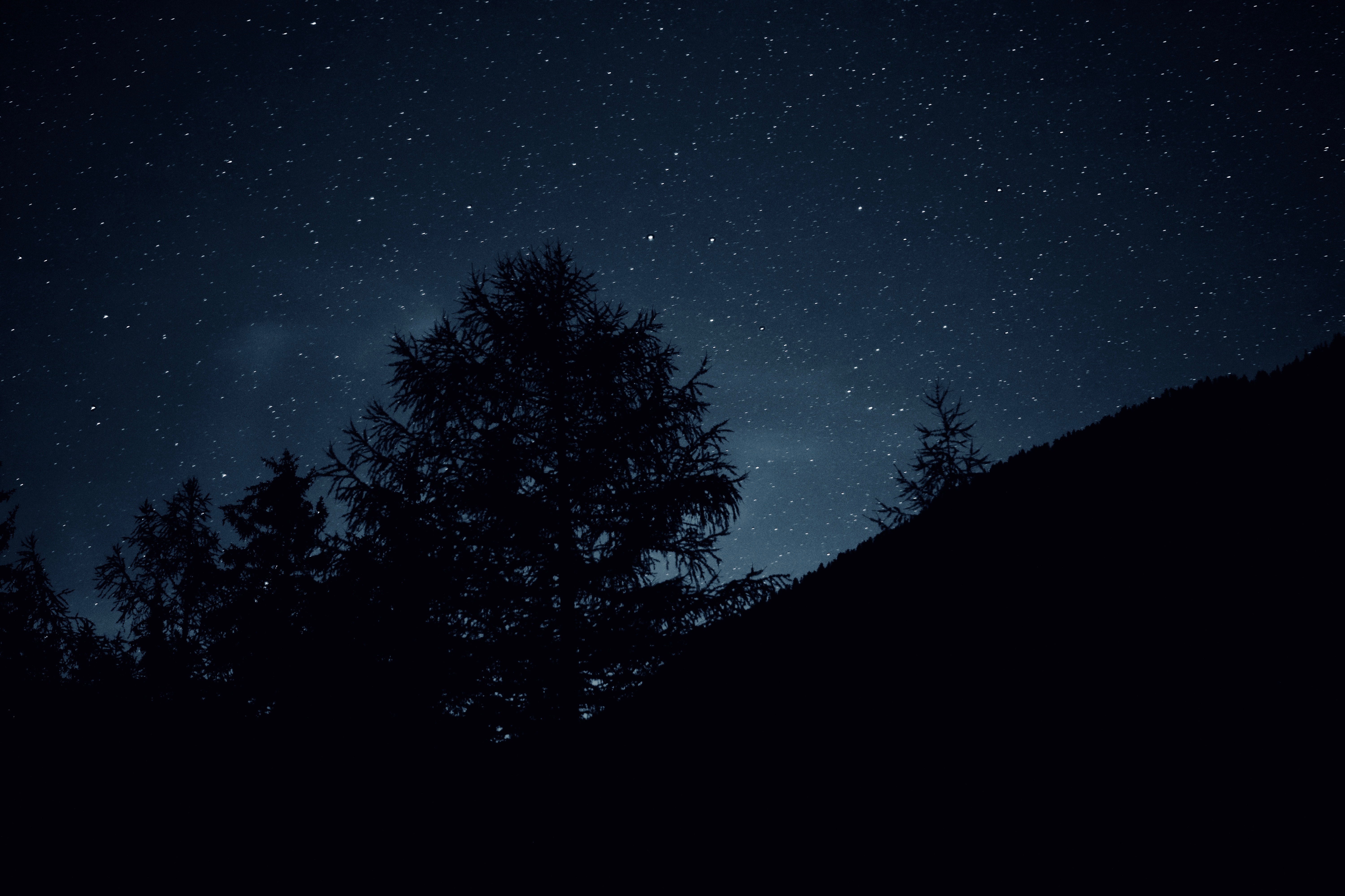 Download wallpaper 6000x4000 trees, night, stars, sky, dark hd background
