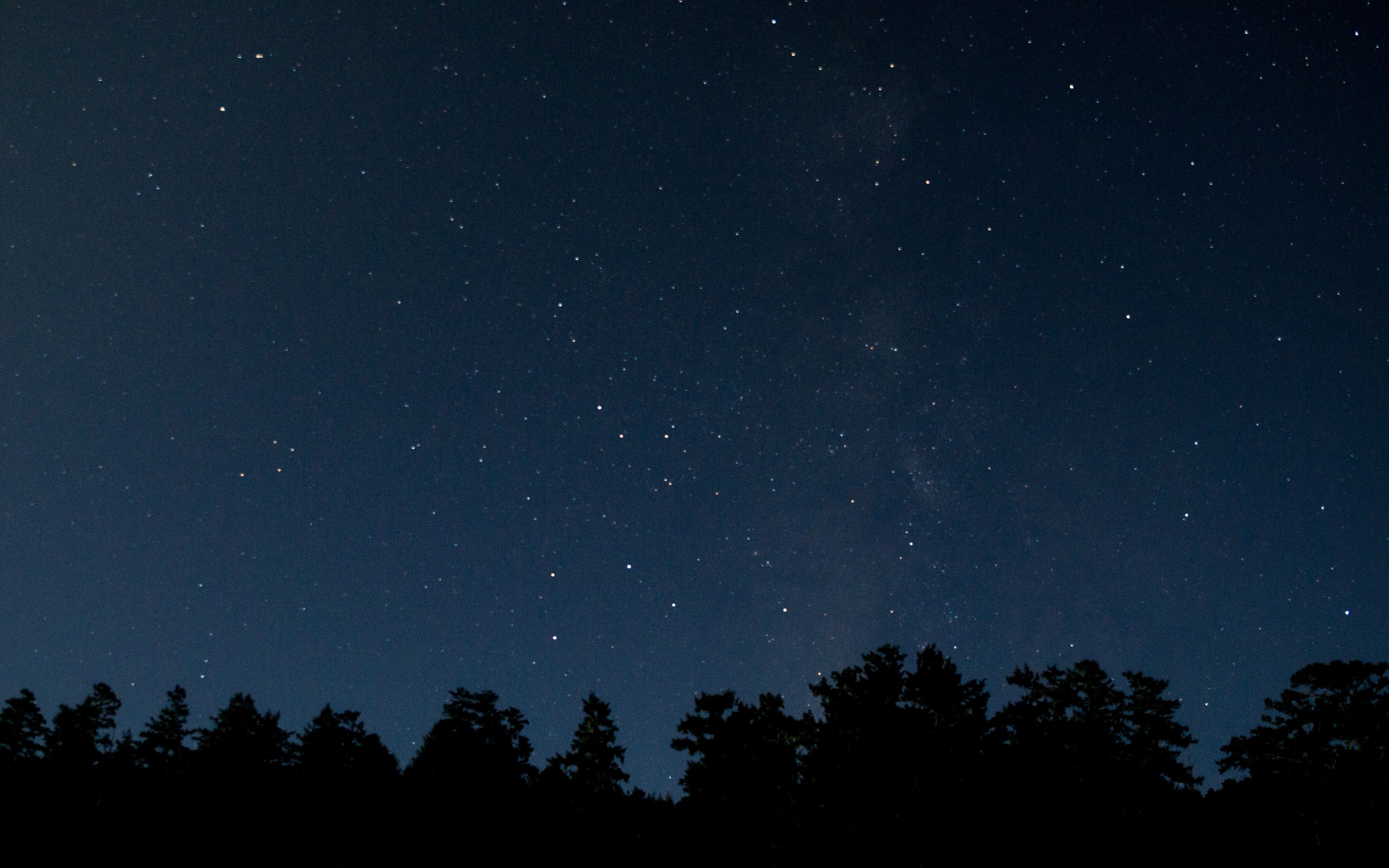 Download wallpaper 3840x2400 trees, night, stars, starry sky 4k ultra ...