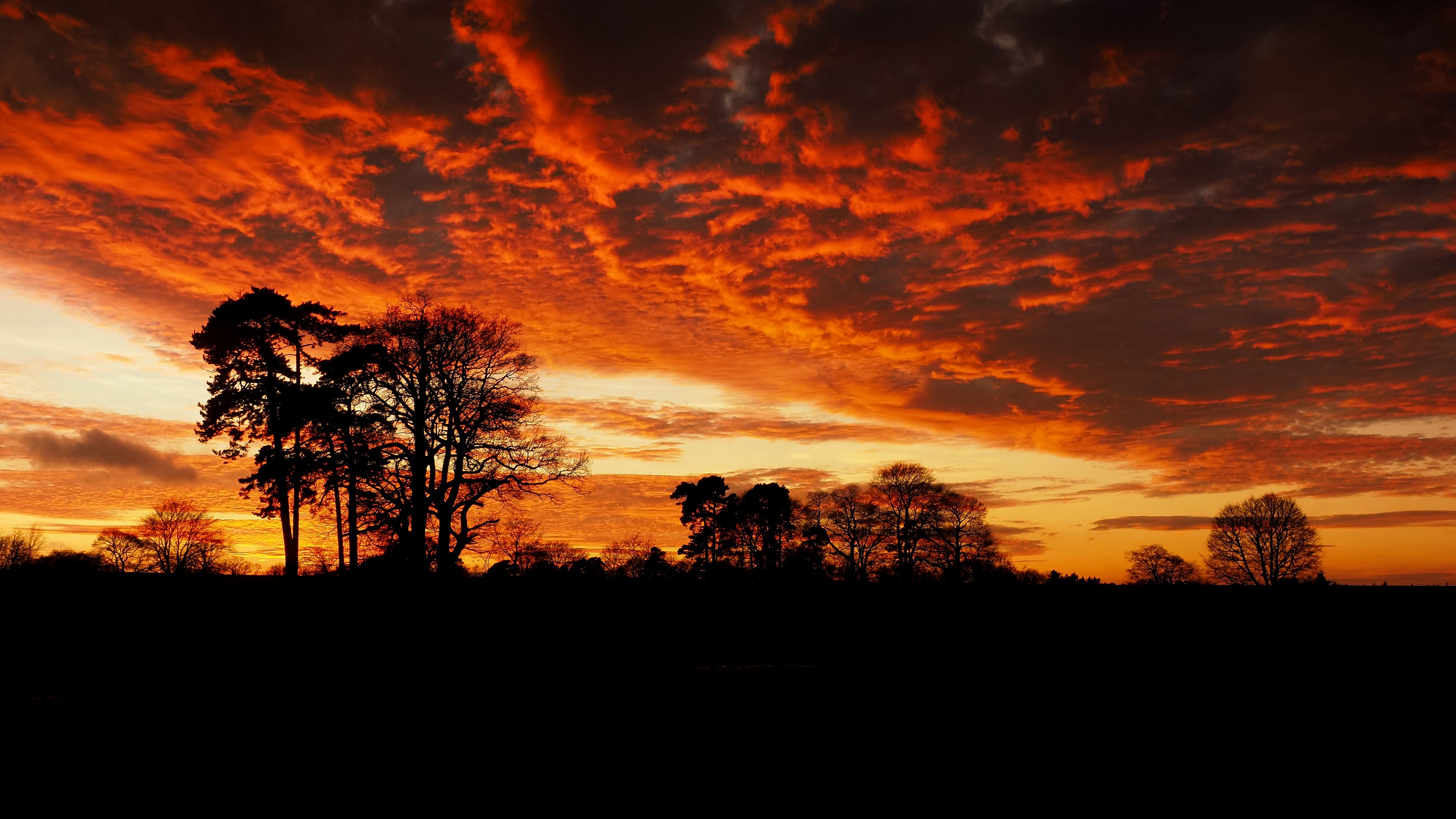 Download wallpaper 3840x2160 trees, silhouette, branches, sunset, black ...