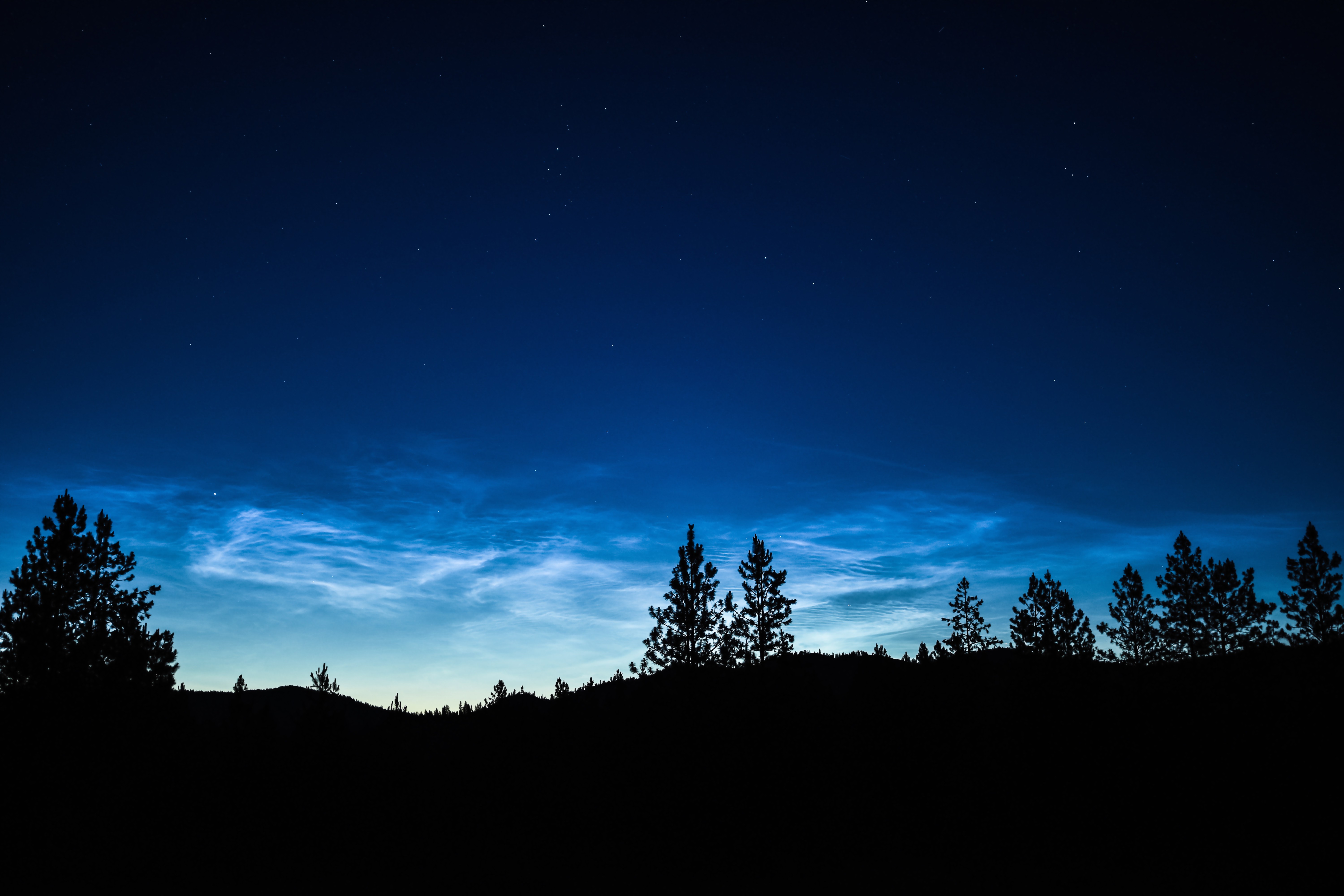 Download wallpaper 6000x4000 trees, silhouettes, night, dusk, dark hd ...