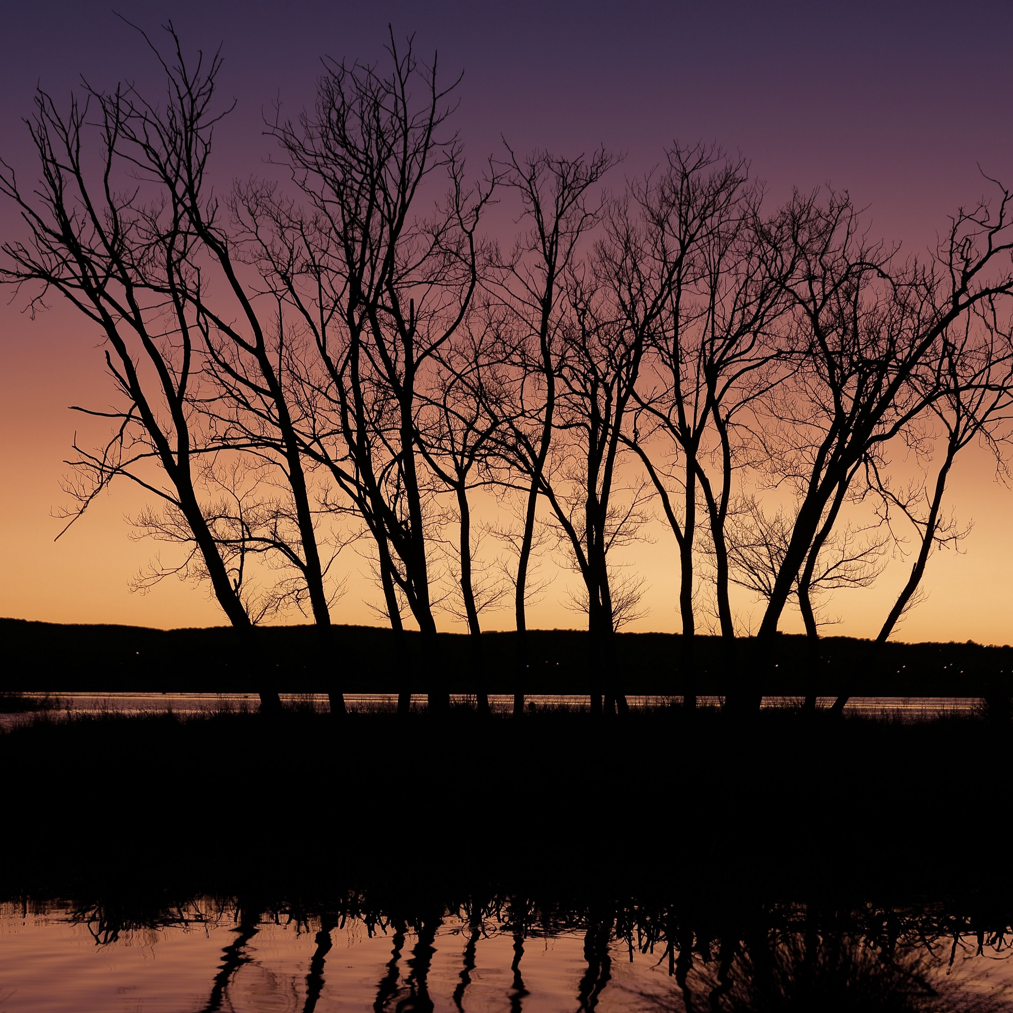 Download wallpaper 3415x3415 trees, silhouettes, river, reflection ...