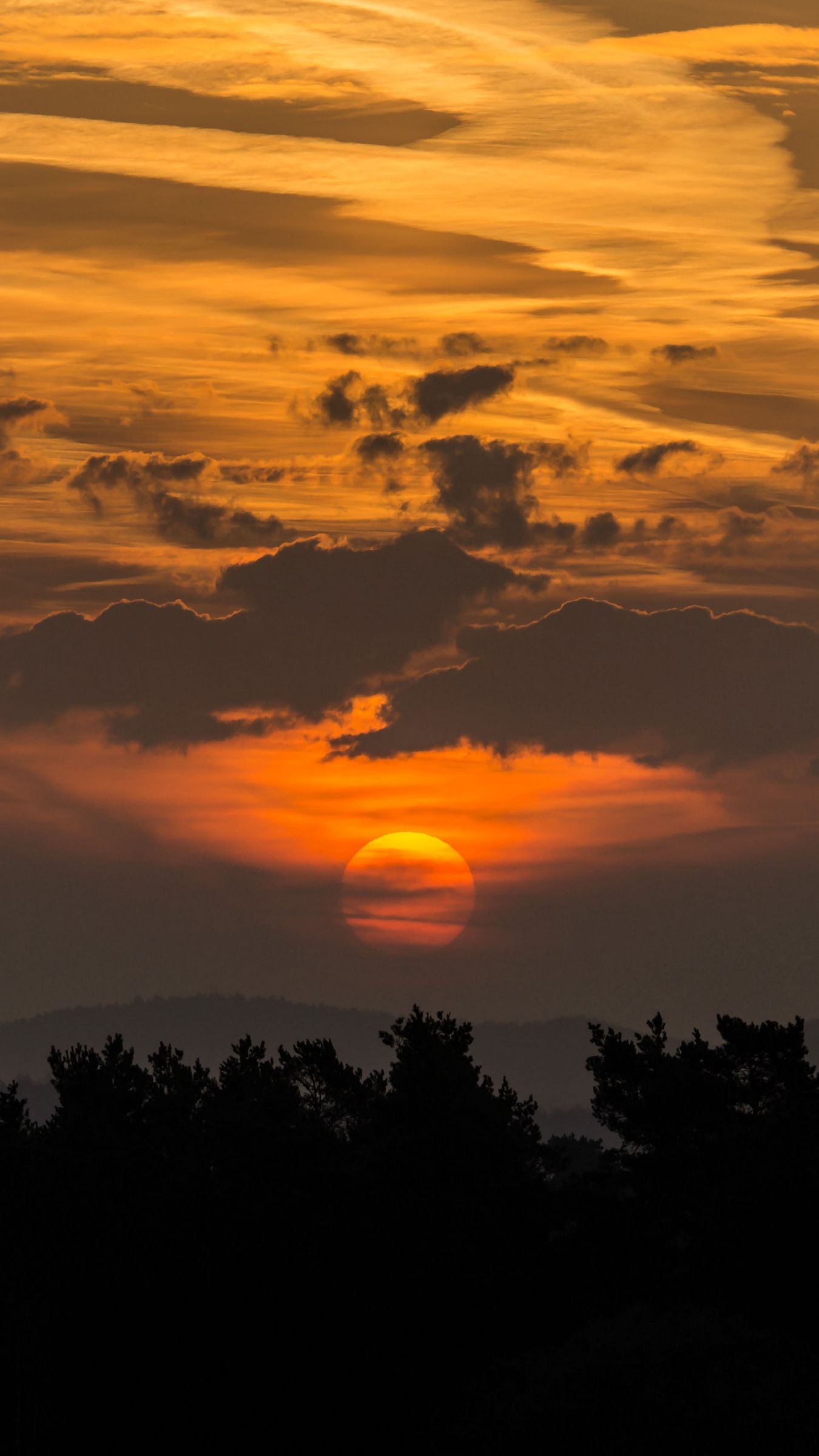 Download wallpaper 1350x2400 trees, silhouettes, sun, twilight, dark ...