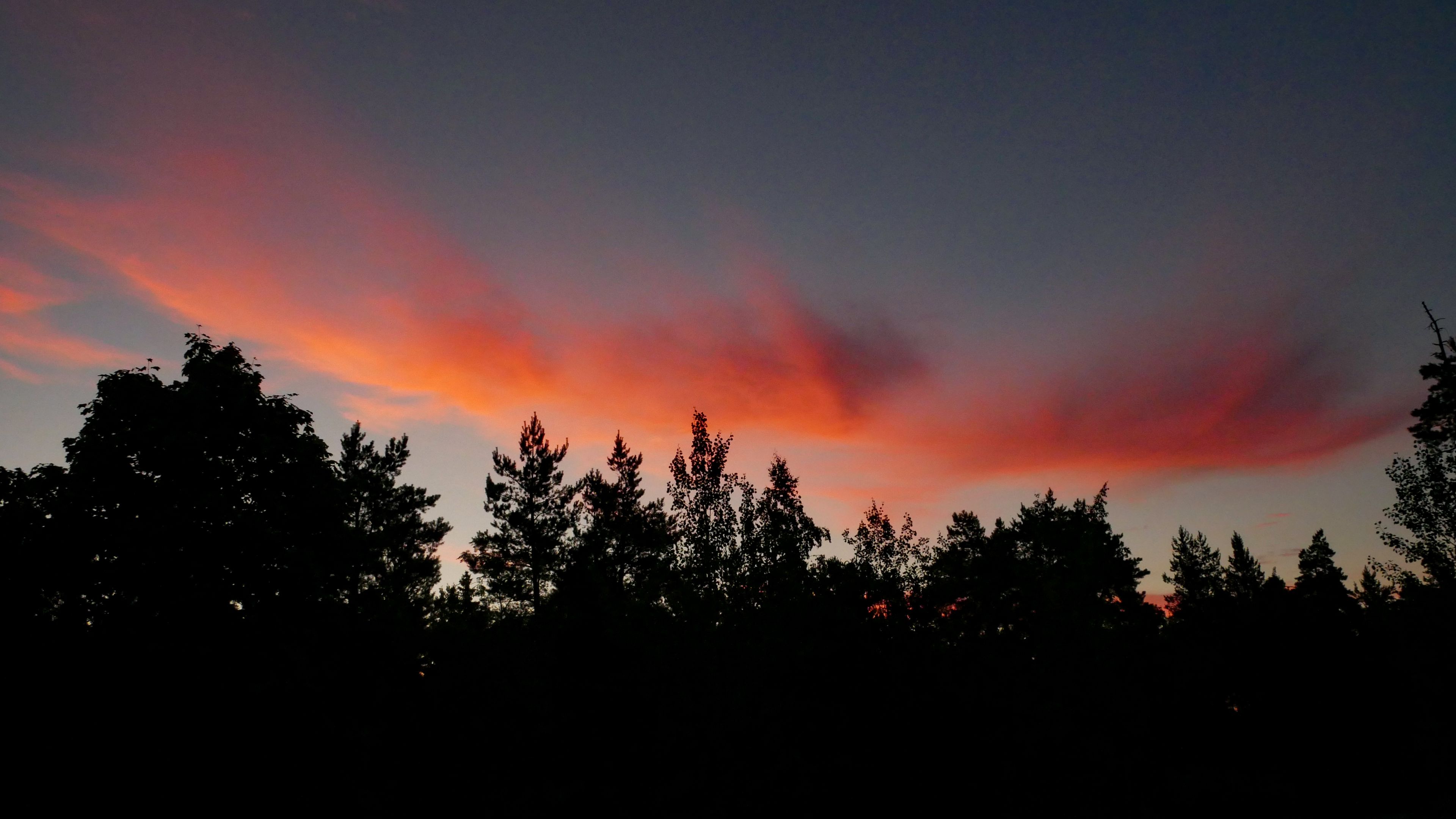 Download wallpaper 3840x2160 trees, silhouettes, twilight, clouds, dark ...