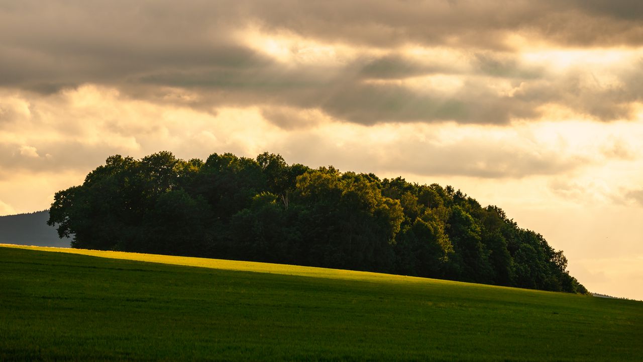 Wallpaper trees, slope, grass, clouds, nature hd, picture, image